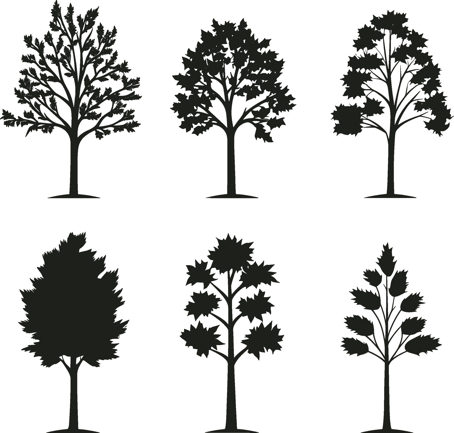 collection isolated tree Symbol silhouette style on white background ...