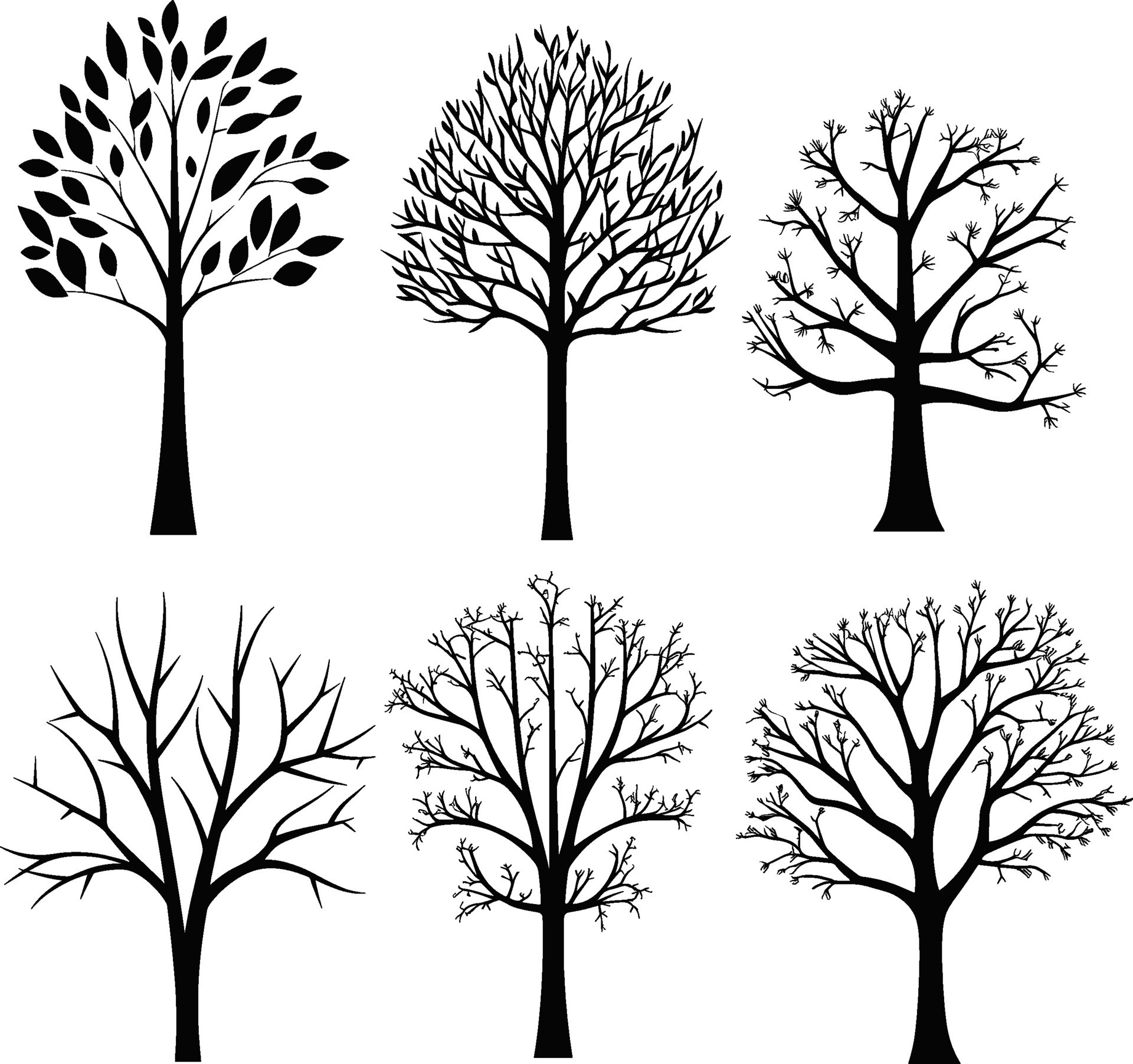 collection isolated tree Symbol silhouette style on white background ...