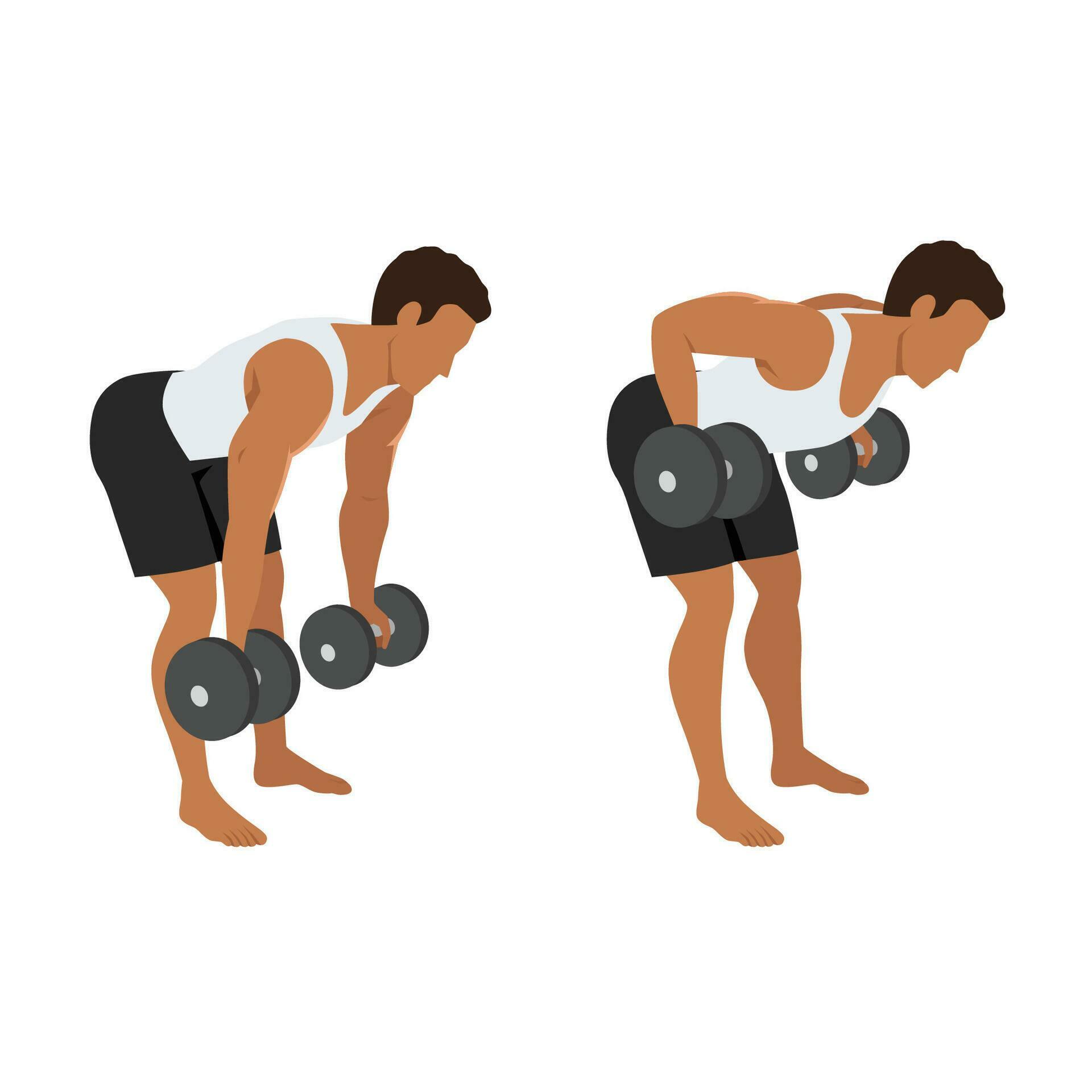 Man doing Dumbbell bent over reverse grip row exercise. 35819339 Vector Art at Vecteezy
