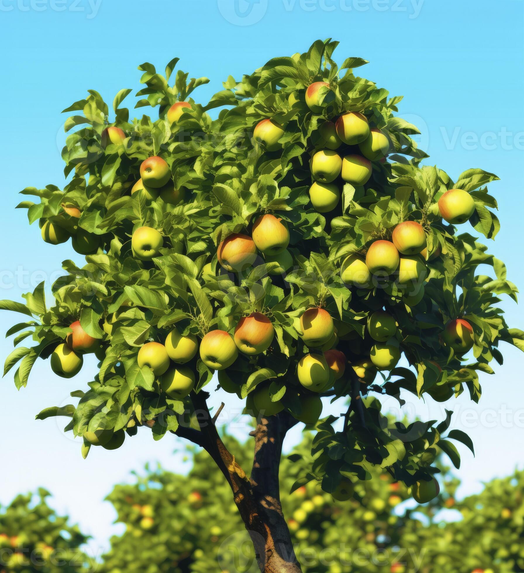 AI generated A beautiful green apple tree. AI Generated 35841659 Stock ...