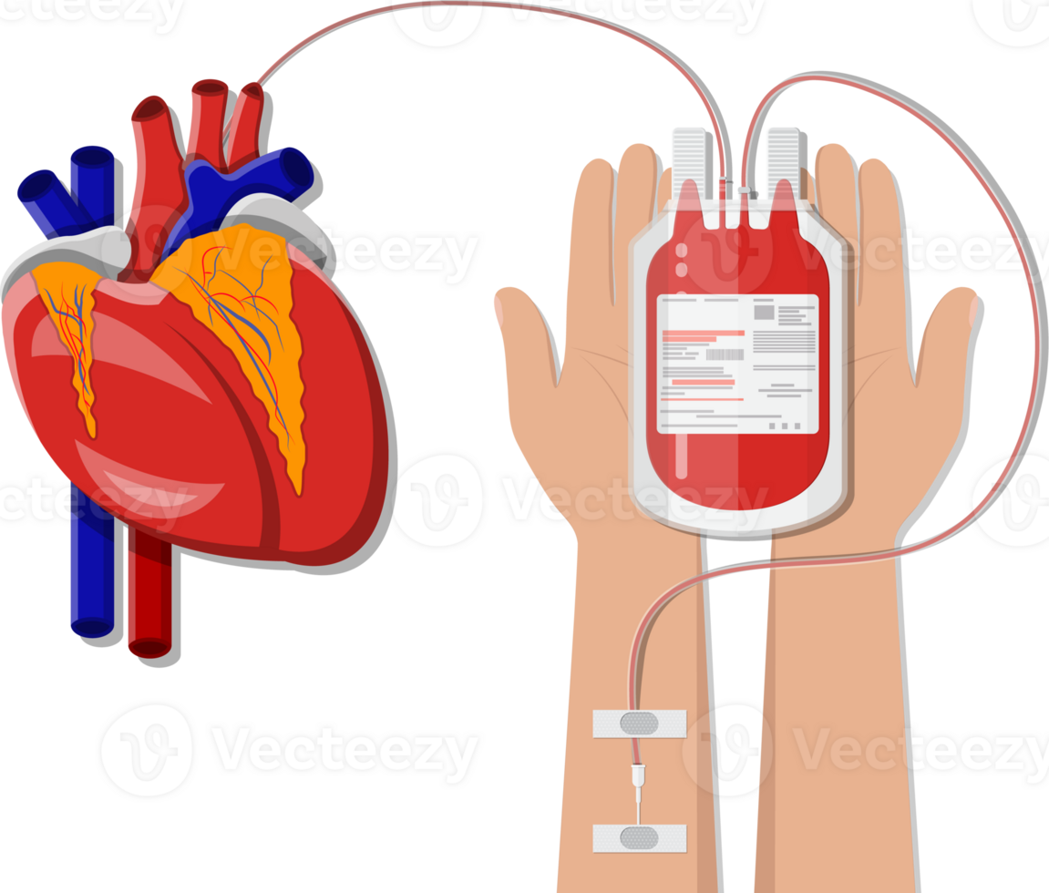Bag with blood and hand of donor 35857858 PNG Bag with blood and hand of donor 35857858 PNG