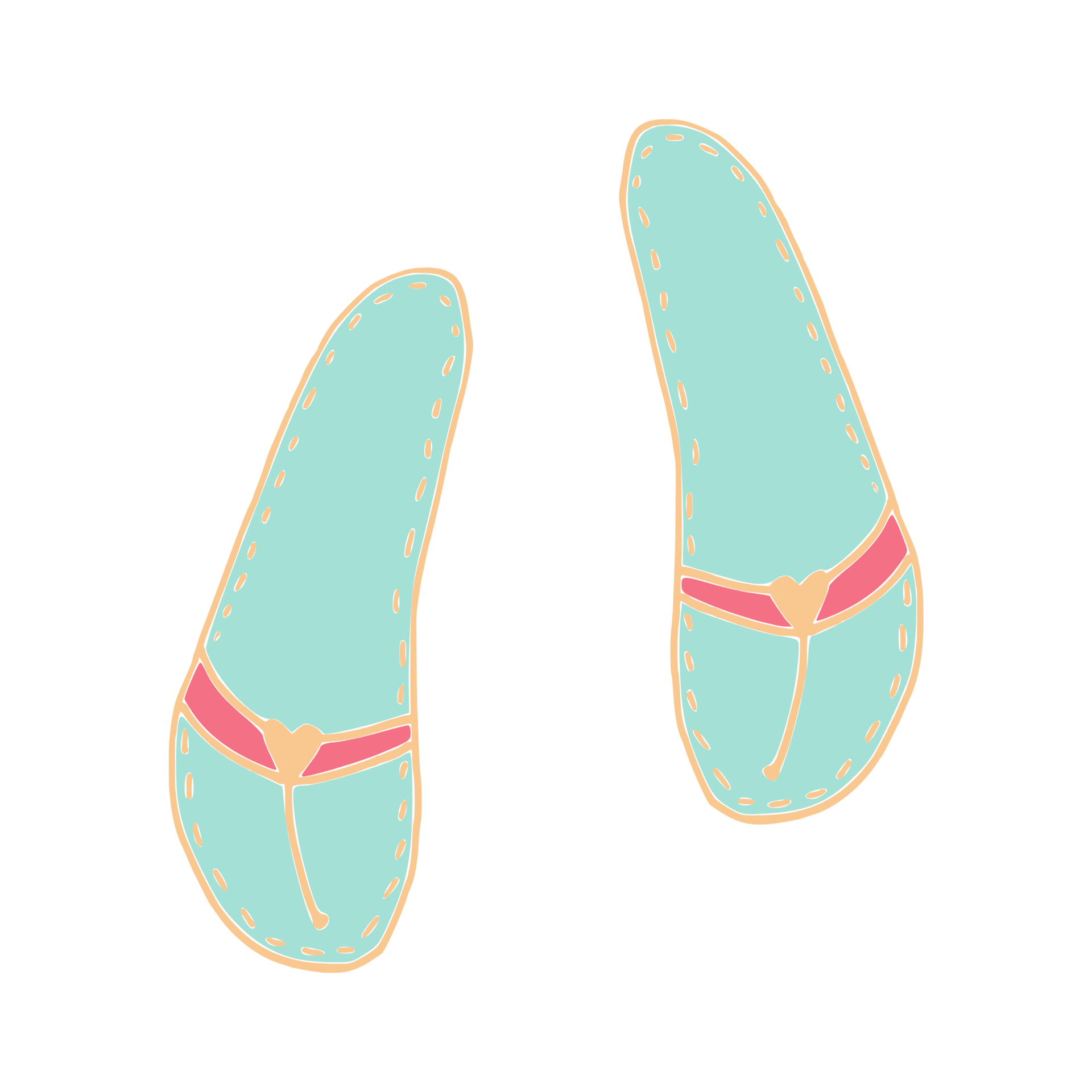 Summer Flip Flop Sandals Beach Summer Footwear Summer Shoes Colorful