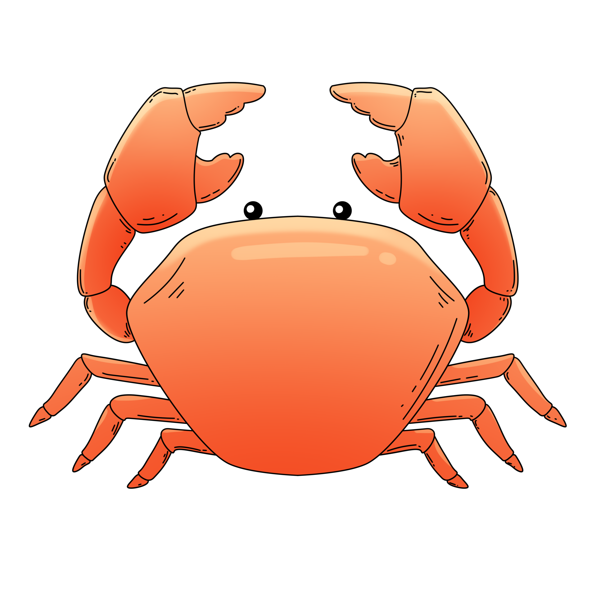 Crab Sea Animal Cute Cartoon 35890139 PNG