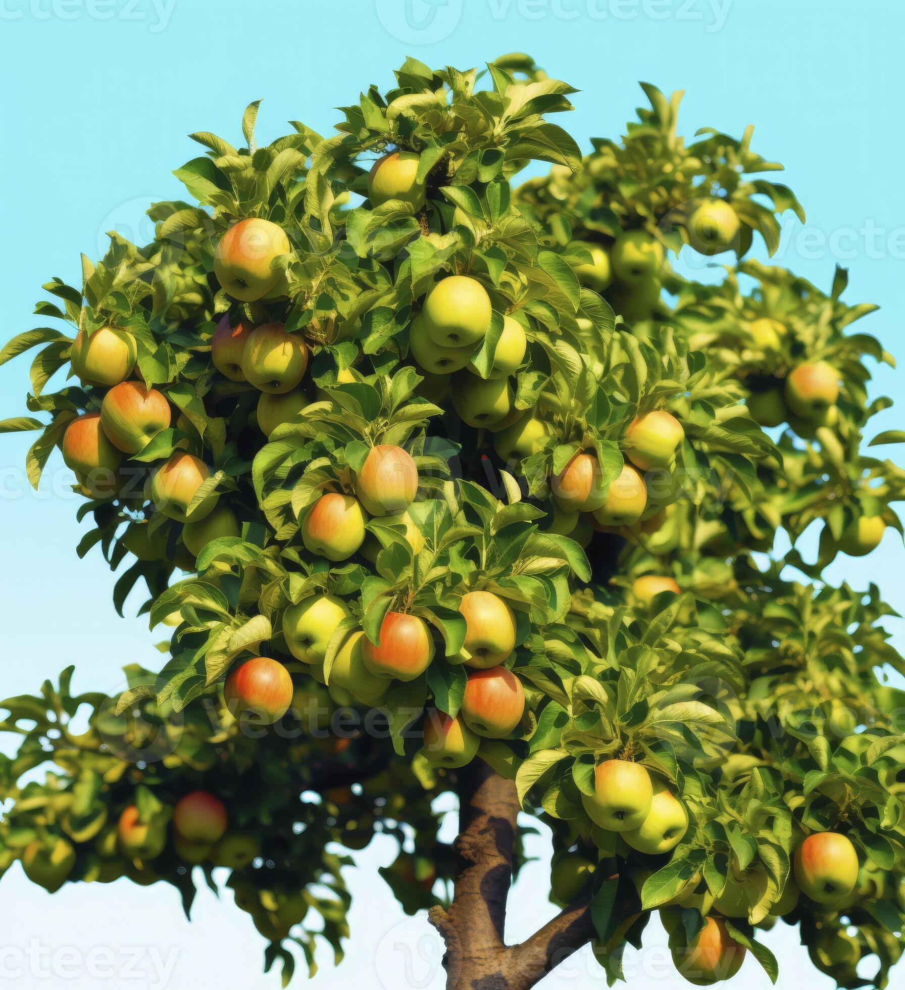 AI generated A beautiful green apple tree. AI Generated 35892063 Stock ...