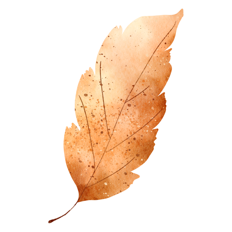 Watercolor autumn leaves 35914075 PNG