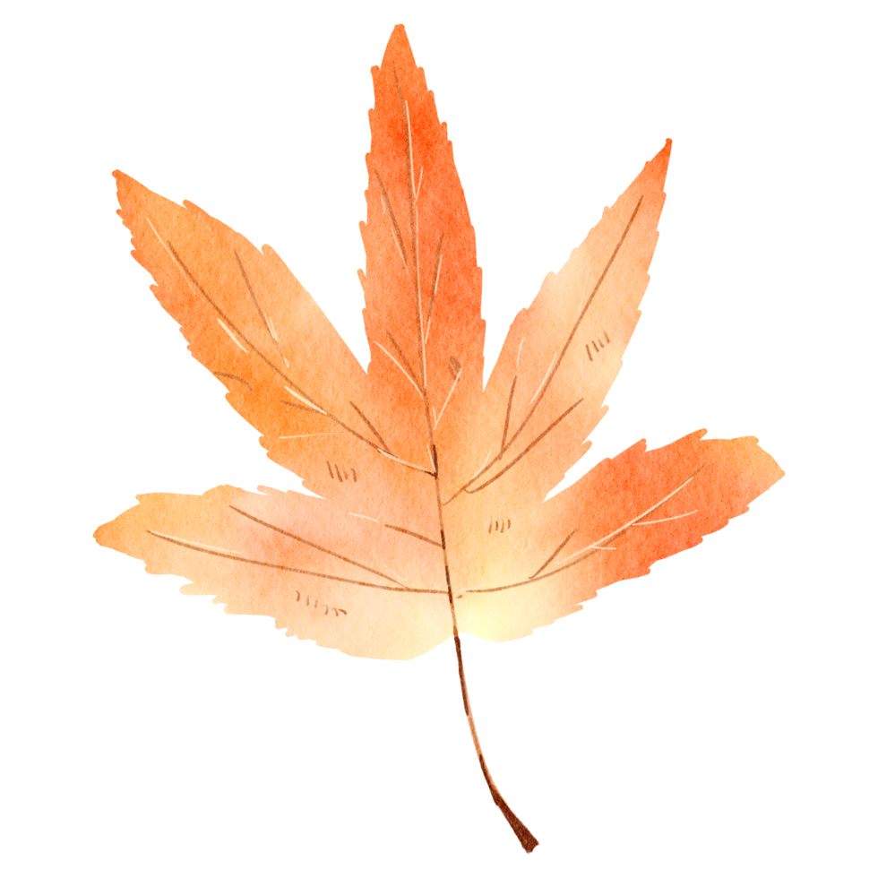 Autumn Watercolor Leaves 3 35914112 PNG