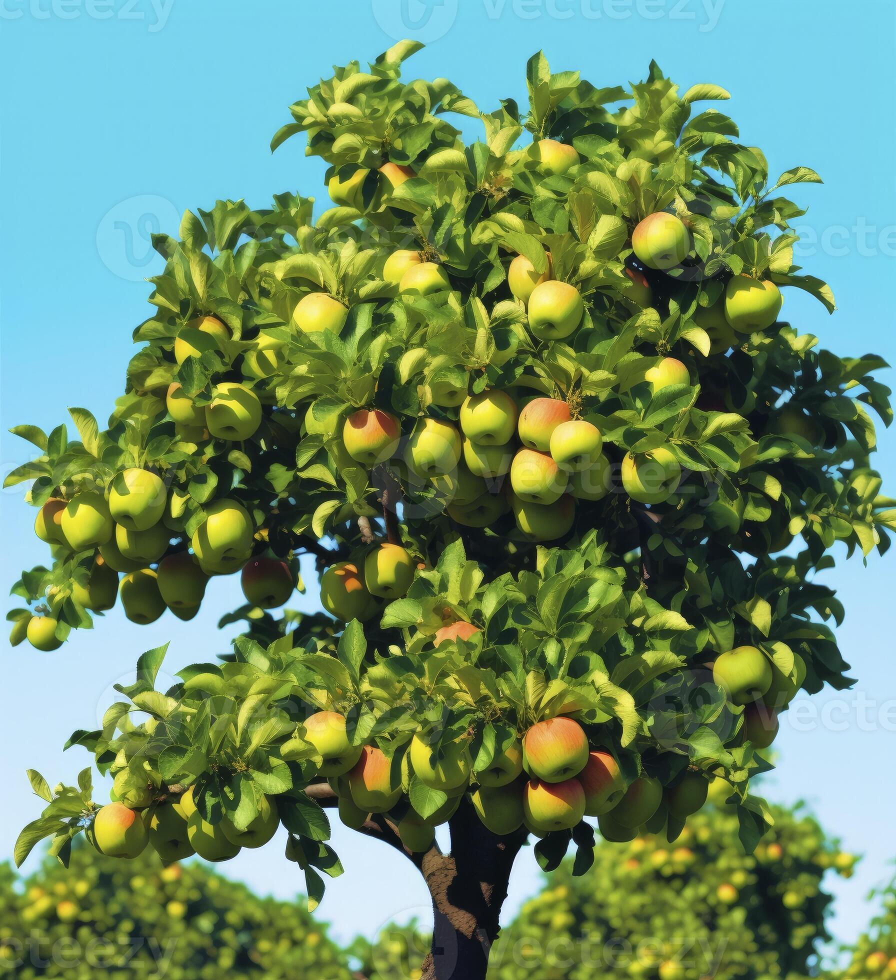 AI generated A beautiful green apple tree. AI Generated 35939838 Stock ...