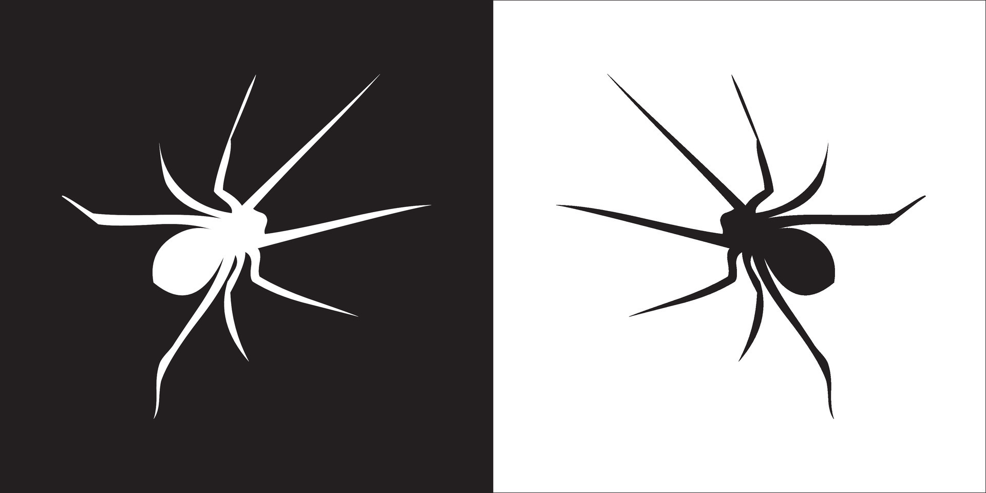 Illustration vector graphics of spider icon 35944915 Vector Art at Vecteezy