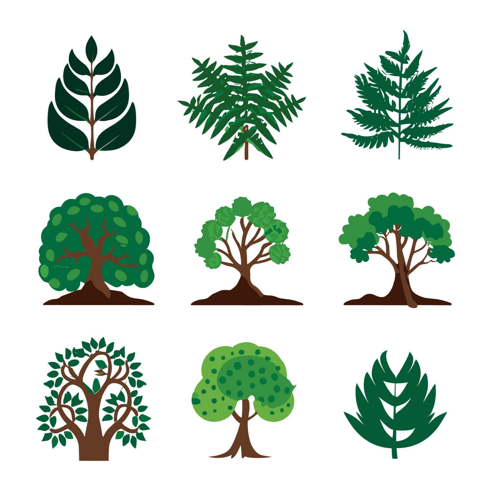 silhouette tree line drawing set, Side view, set of graphics trees ...