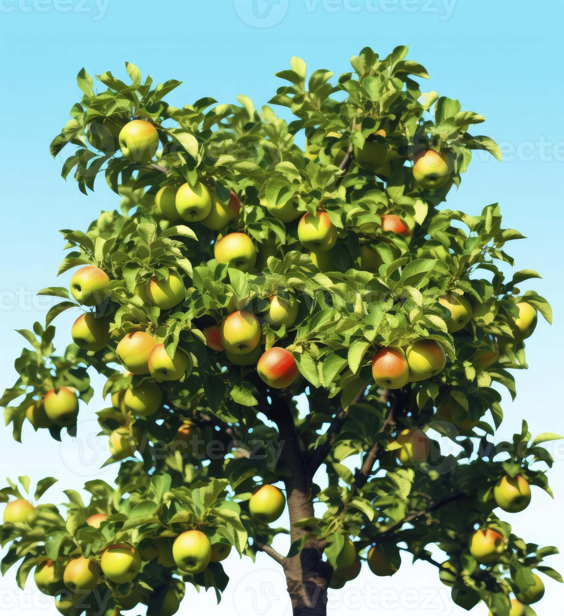 AI generated A beautiful green apple tree. AI Generated 35967944 Stock ...