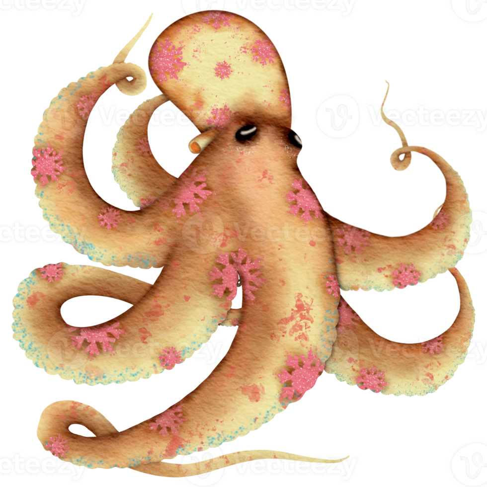 Christmas Themed Octopus 35971140 Png