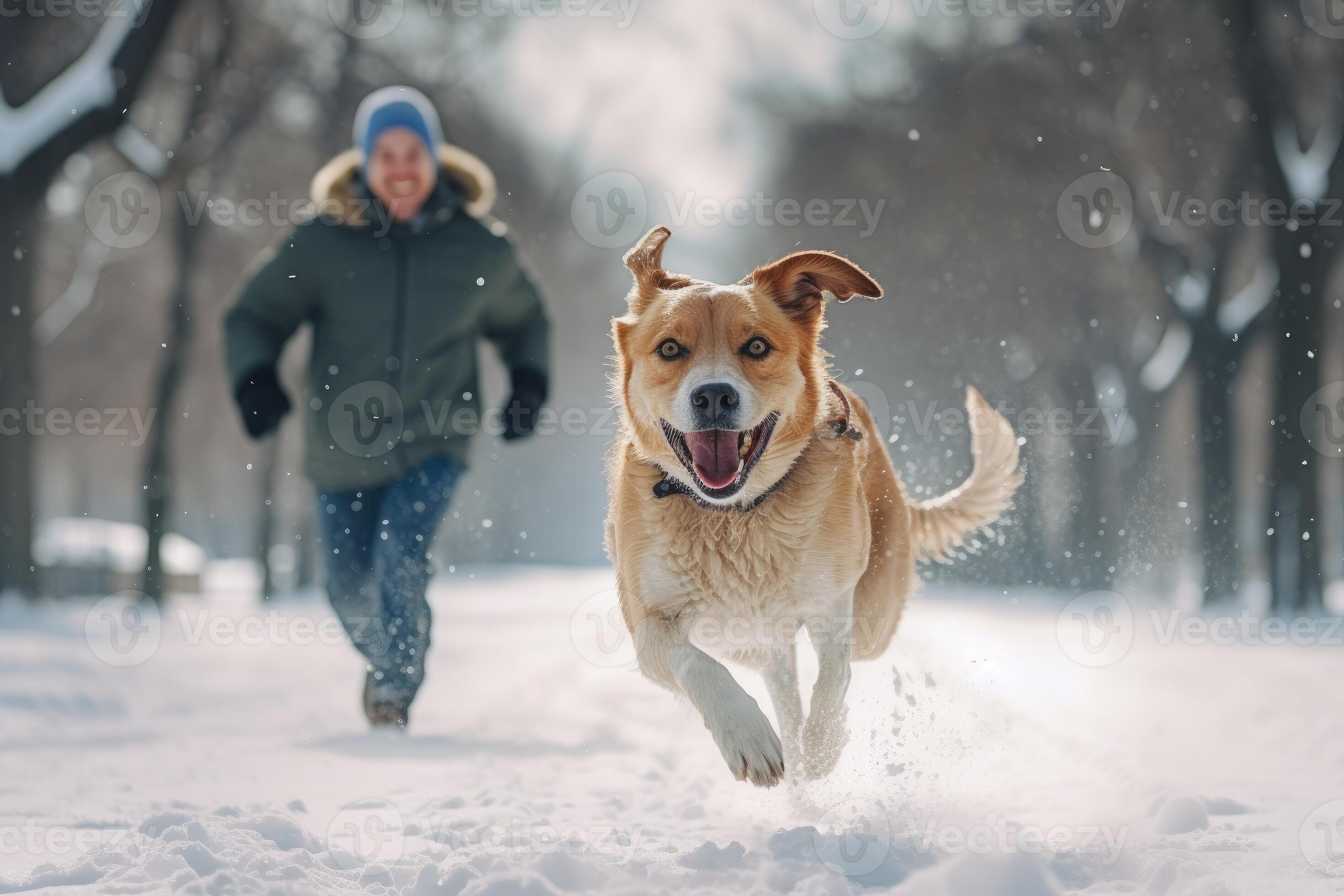 AI generated The photoshoot of a happy dog runs with its owner in the ...
