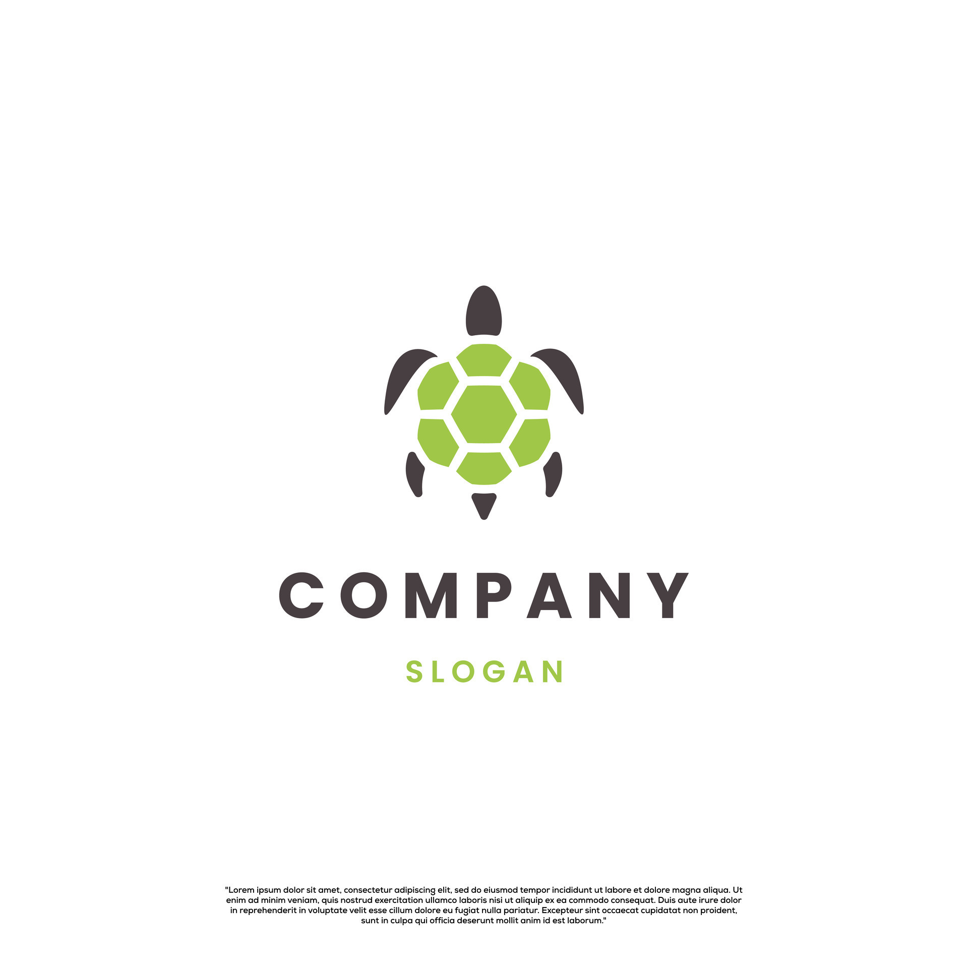 Simple sea turtle logo design on isolated background 36041679 Vector Art at Vecteezy