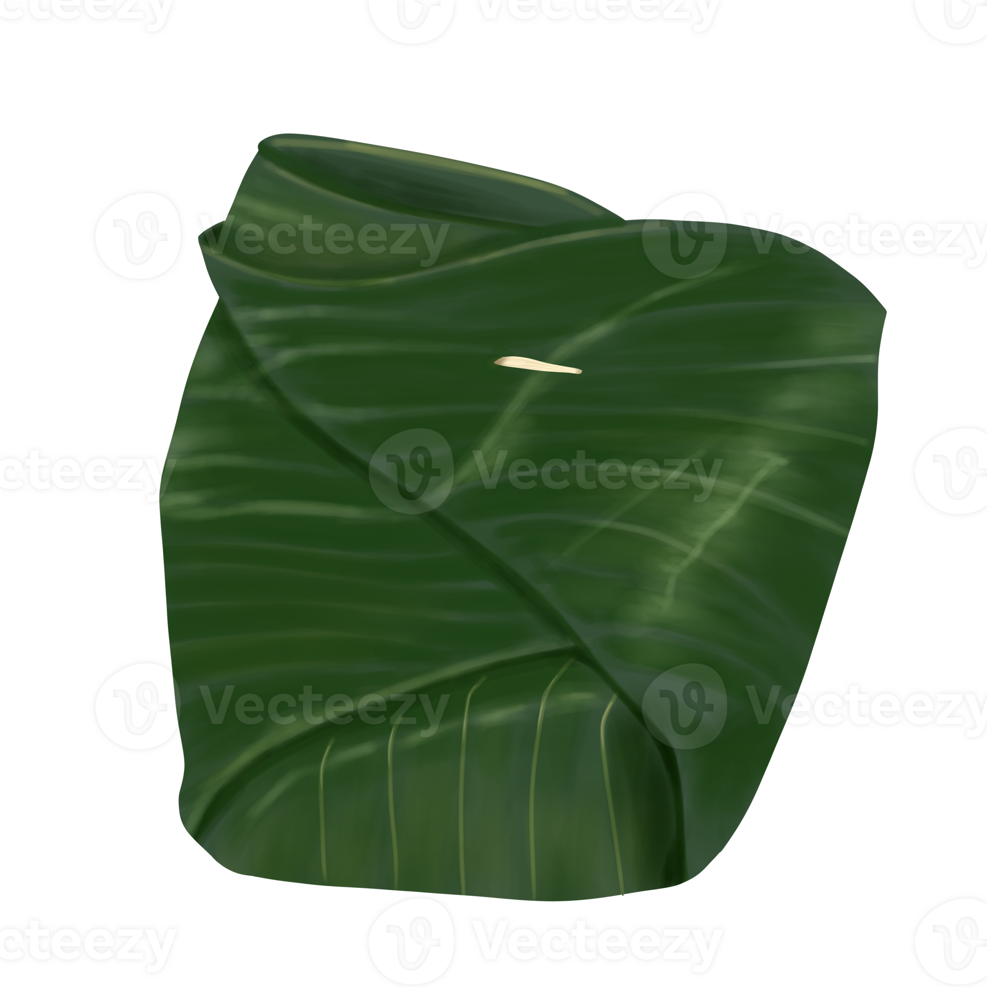Bungkus Daun Pisang Tusuk Lidi 36052496 Png