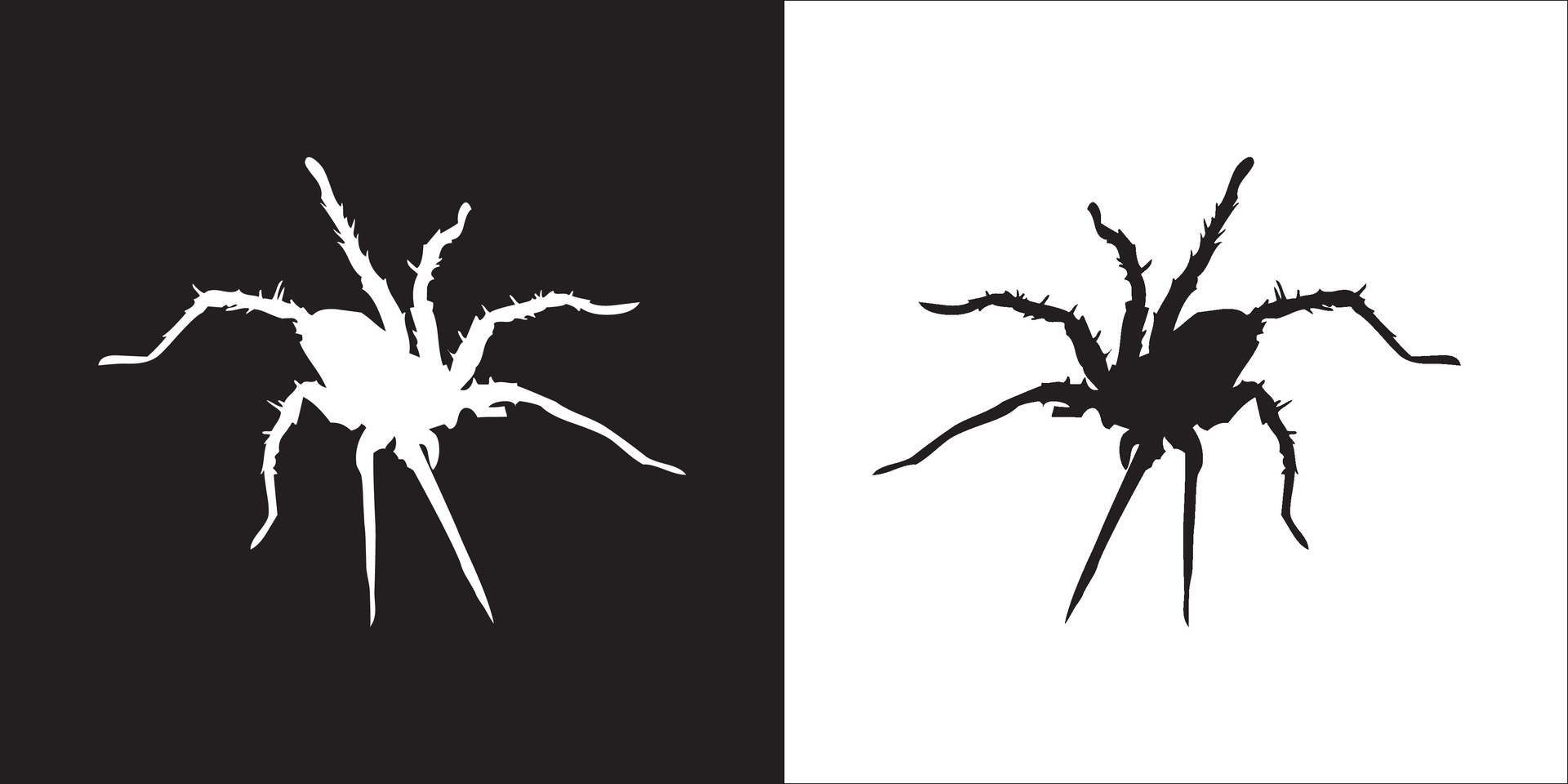 Illustration vector graphics of spider icon 36061707 Vector Art at Vecteezy