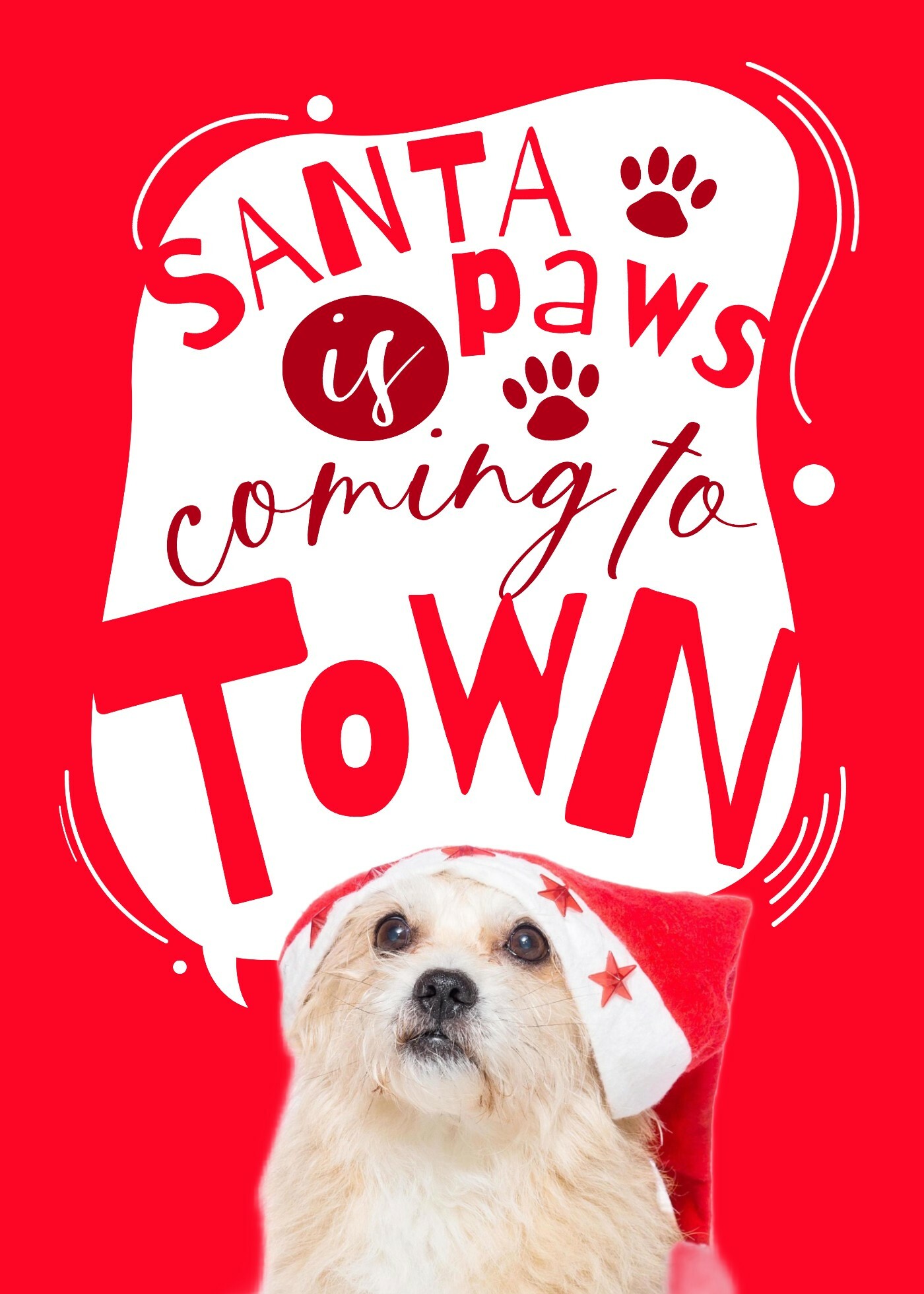 Santa Paws is Coming to Town Greeting Card 36071088 Template Santa Paws is Coming to Town Greeting Card 36071088 Template