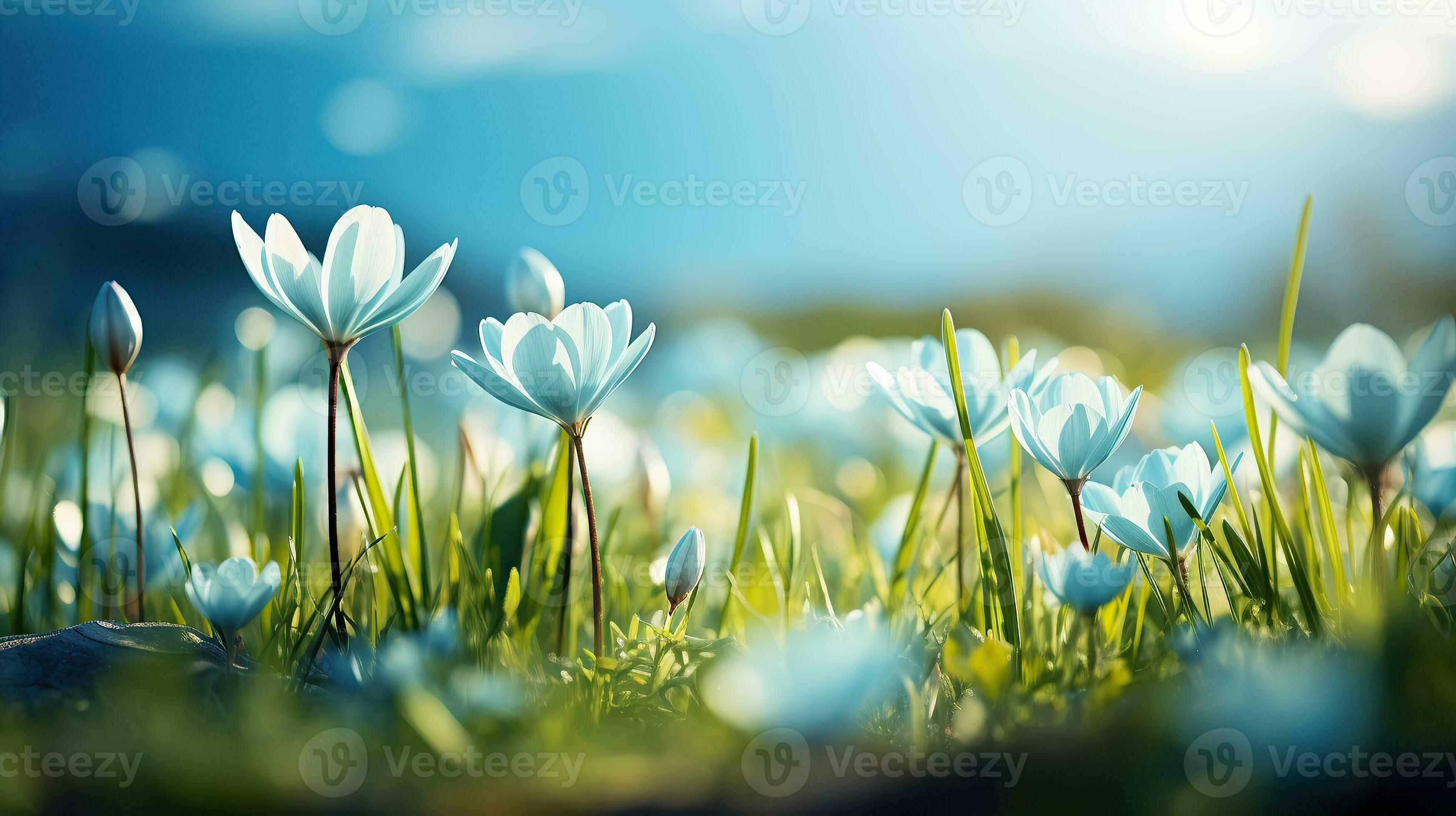 AI generated Art abstract spring background or summer background with ...
