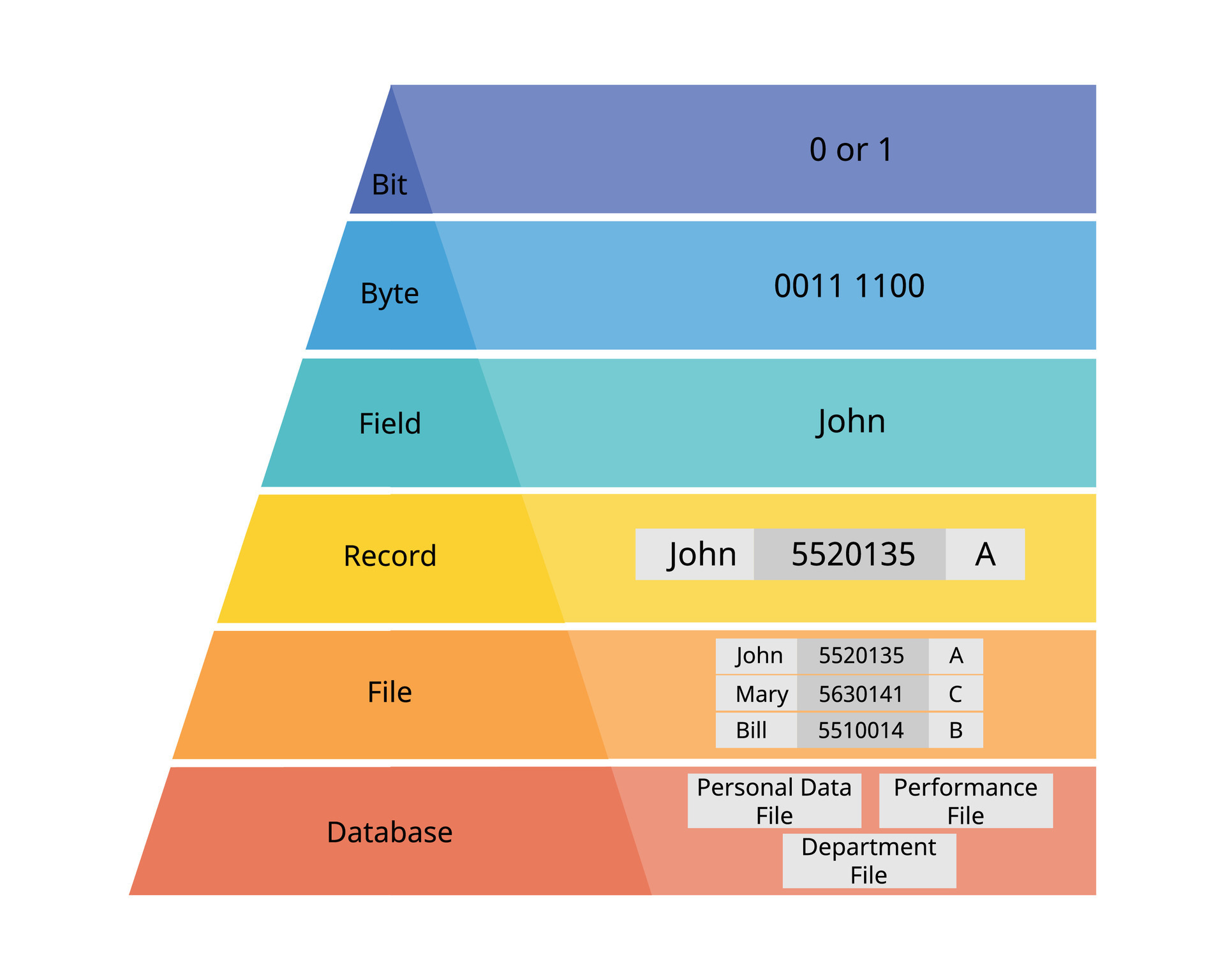 Data Hierarchy Of Bit Byte Field Record File Database 36097861 Vector Art At Vecteezy