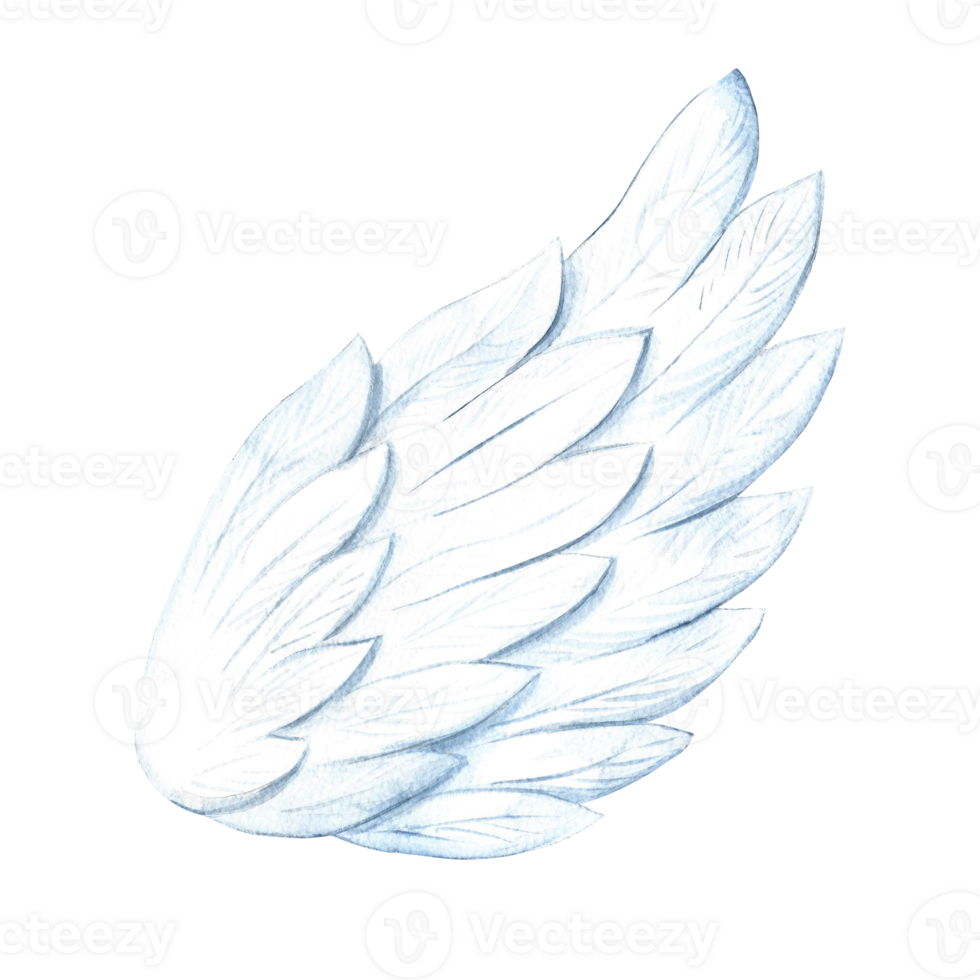 de wit vleugel van een engel. een hand getekend waterverf illustratie ...