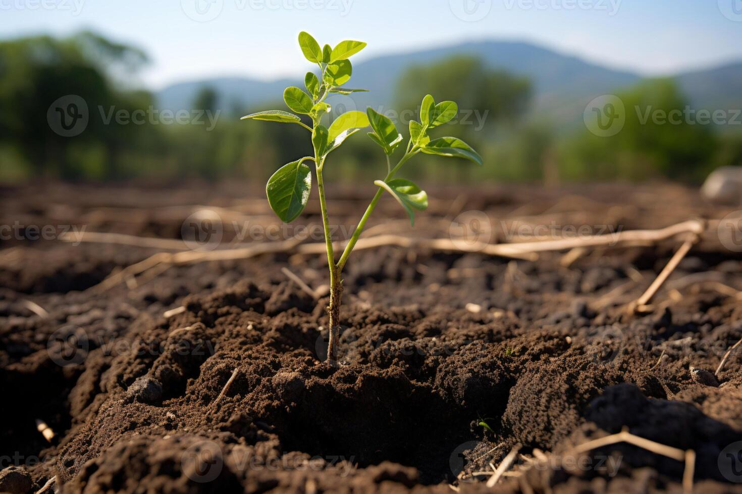 AI generated Climate action Planting a new tree to combat and mitigate ... AI generated Climate action Planting a new tree to combat and mitigate ...