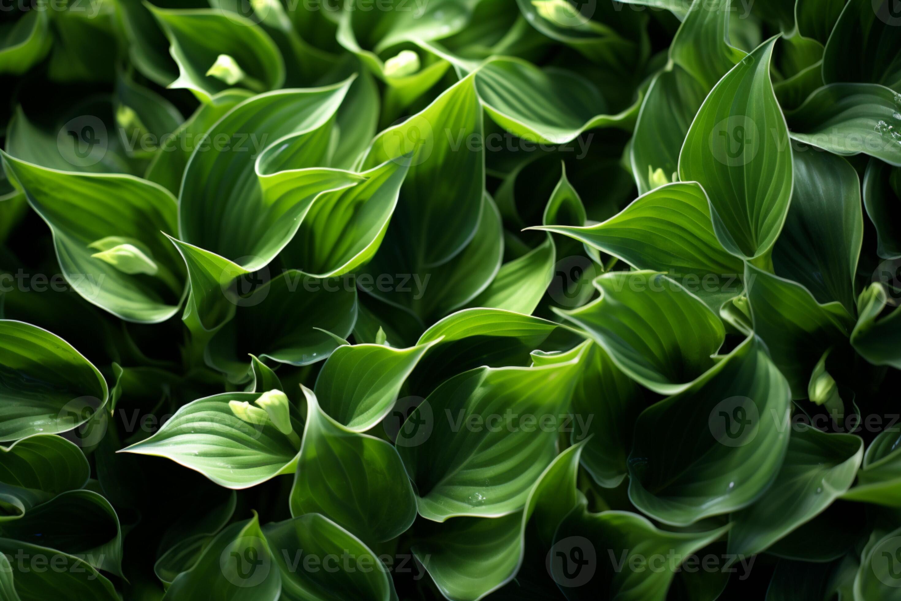 AI generated Aerial ballet Leaves in mid air creating a mesmerizing display of natures movement ...