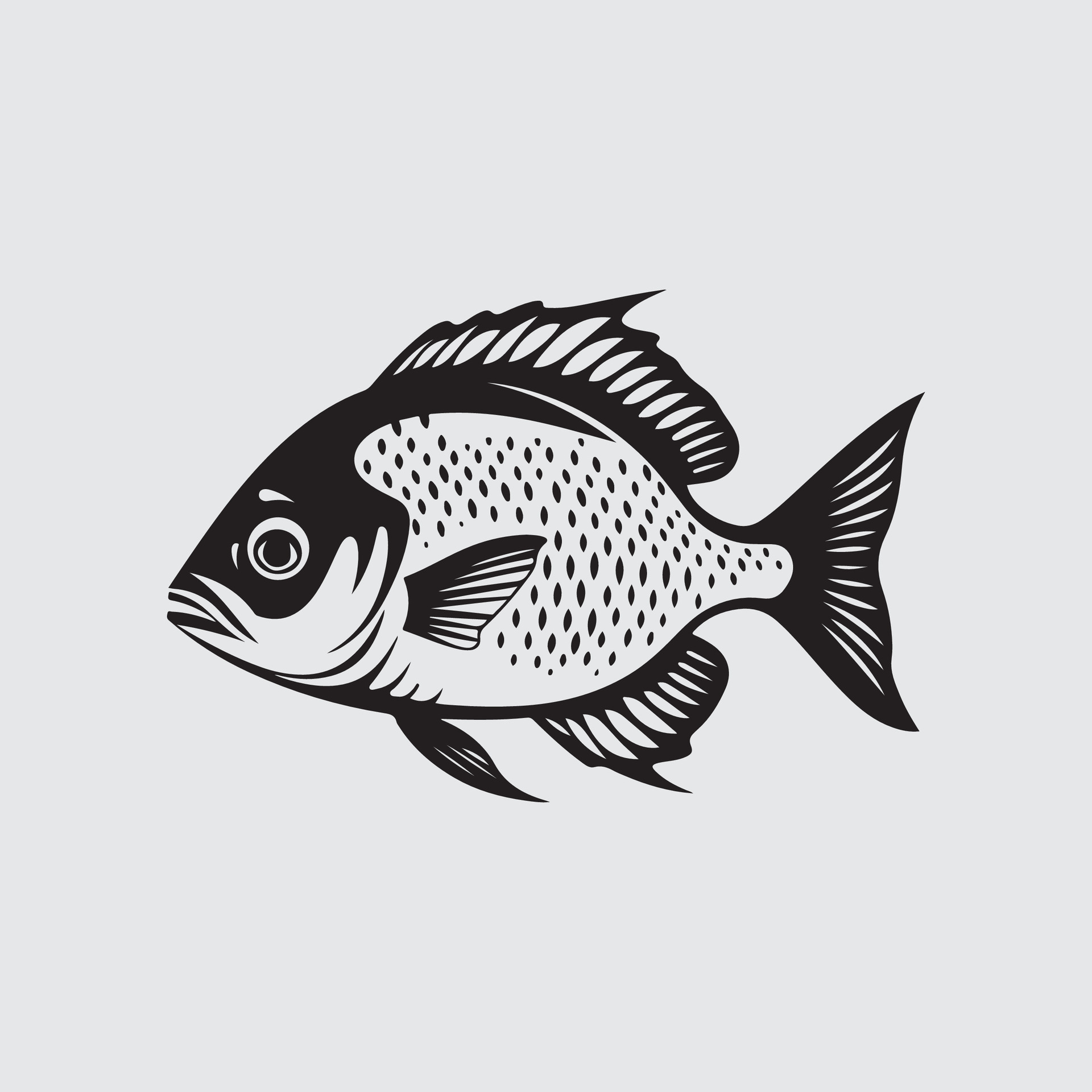 Fish Vector Images 36120414 Vector Art at Vecteezy