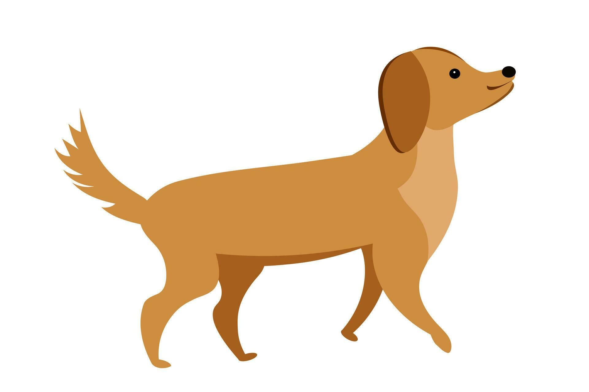 Red dog on white background 36146470 Vector Art at Vecteezy