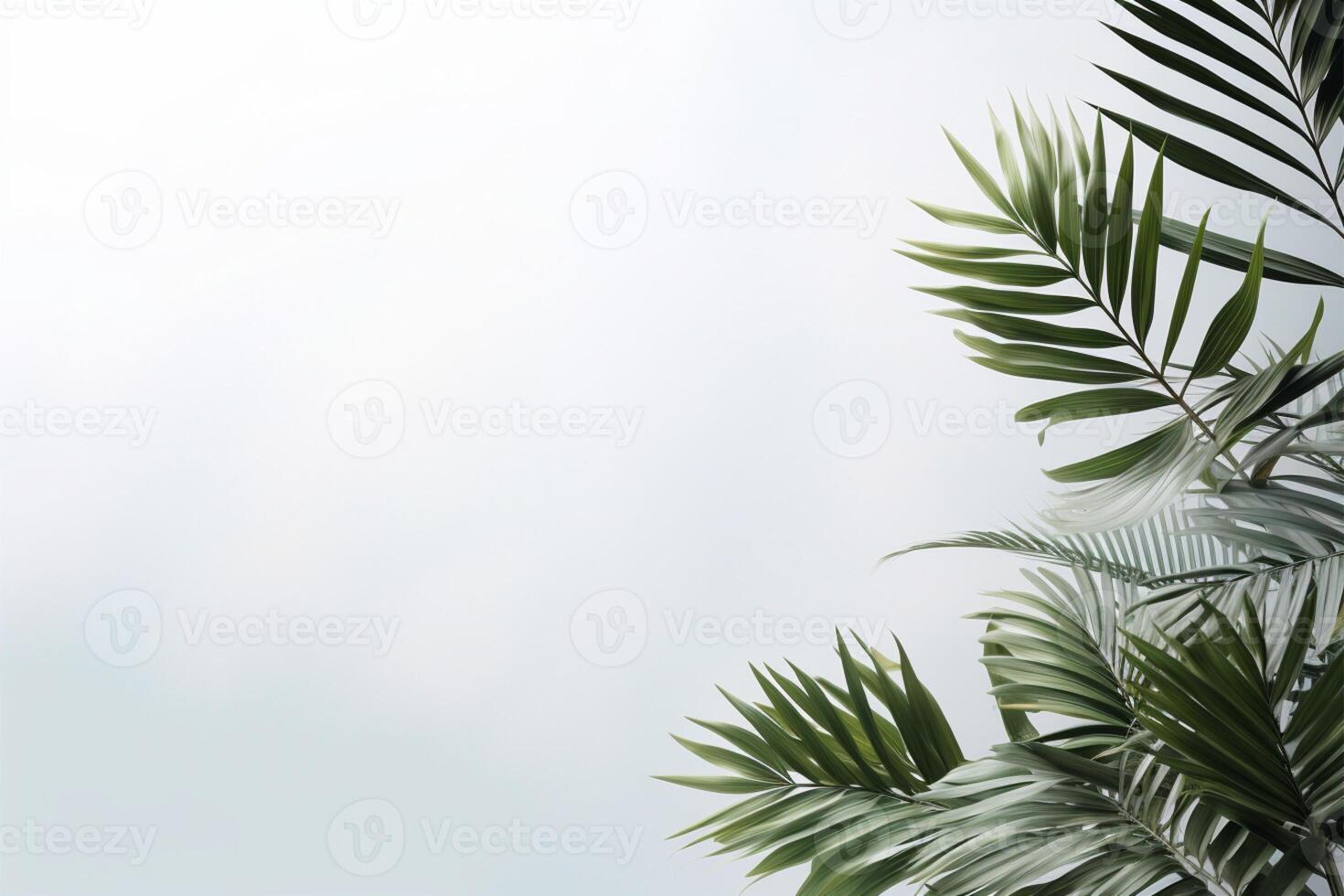 Page 4 | Background Subtle Stock Photos, Images and Backgrounds for ...