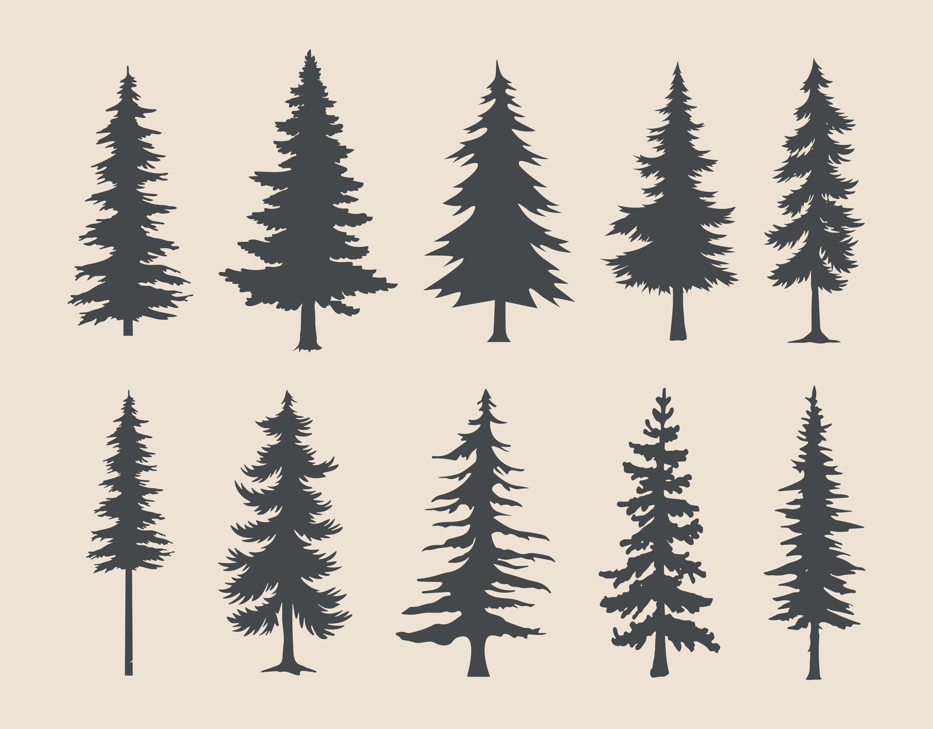 professional pine trees silhouette vector art 36171913 Vector Art at ...