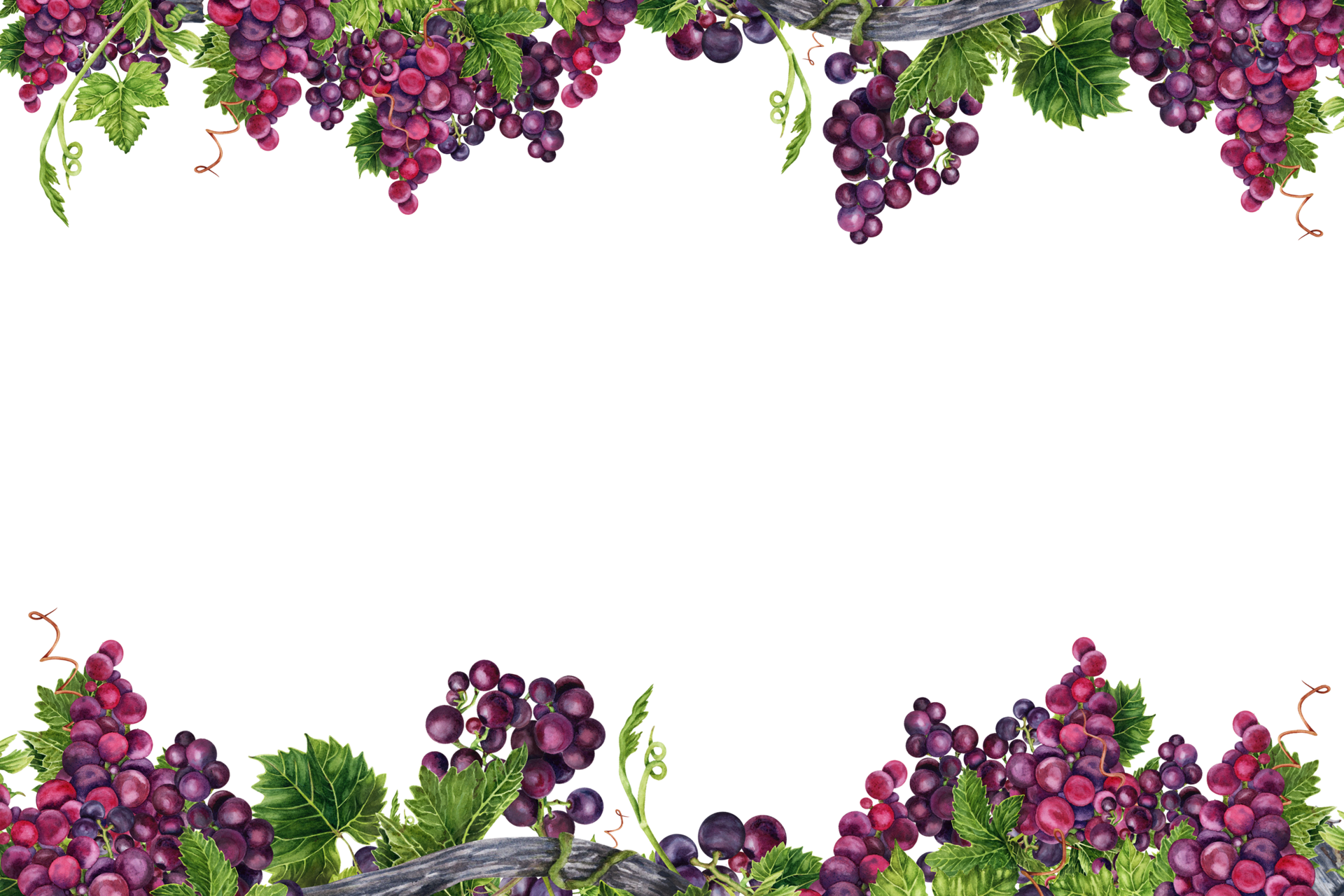 Postcard design. Border frame with intertwined bunches of grapes with ... Postcard design. Border frame with intertwined bunches of grapes with ...