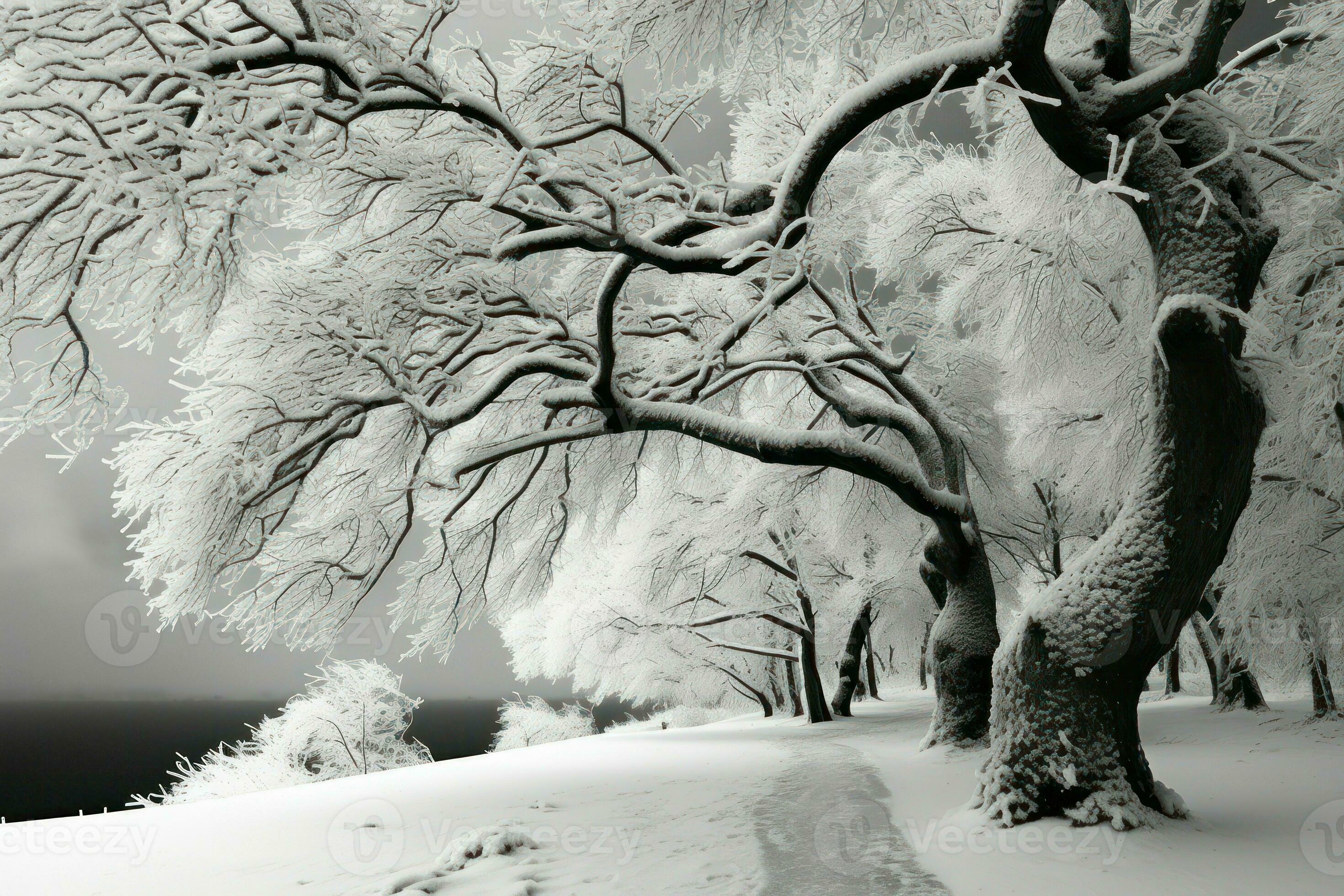 AI generated Snowy Textures - Generative AI 36196750 Stock Photo at ...