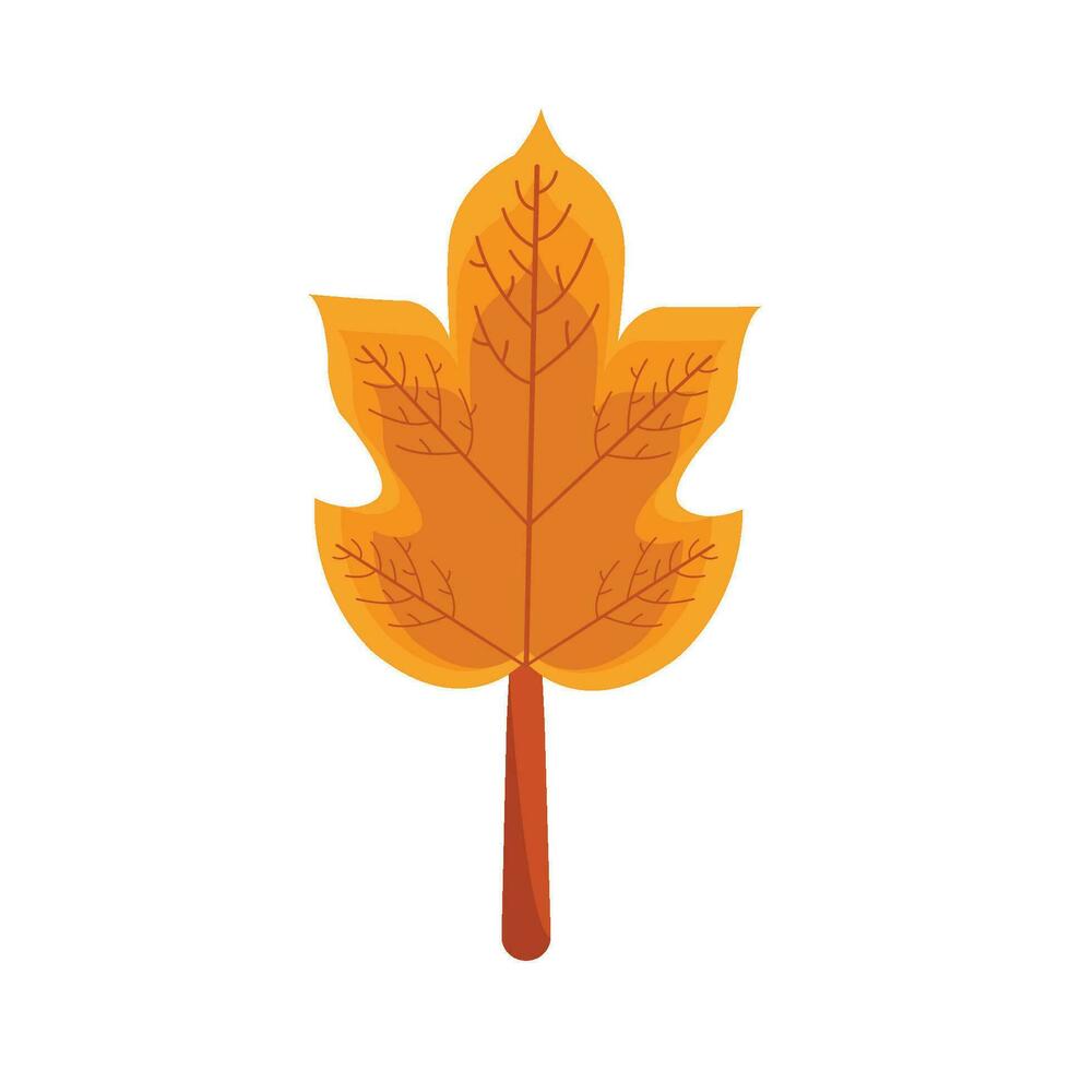 maple autumn leaf illustration 36198391 Vector Art at Vecteezy