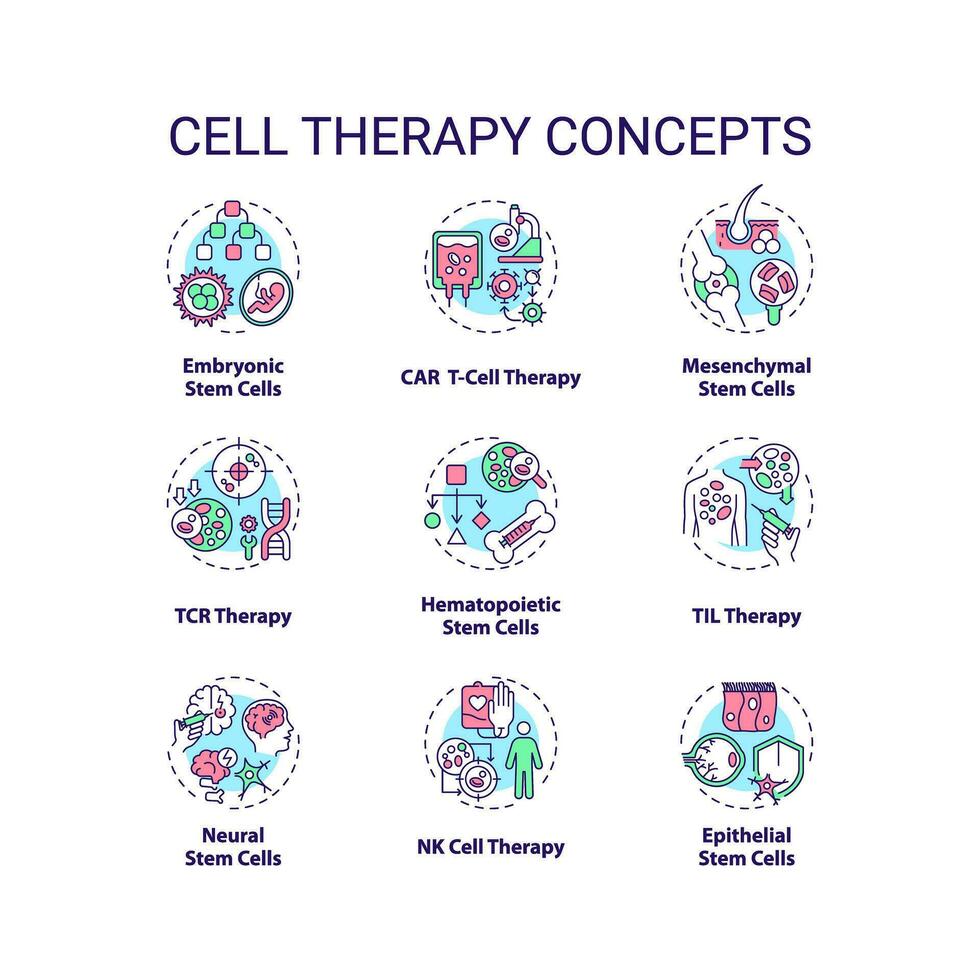 Collection of 2D editable colorful thin line icons representing cell ... Collection of 2D editable colorful thin line icons representing cell ...
