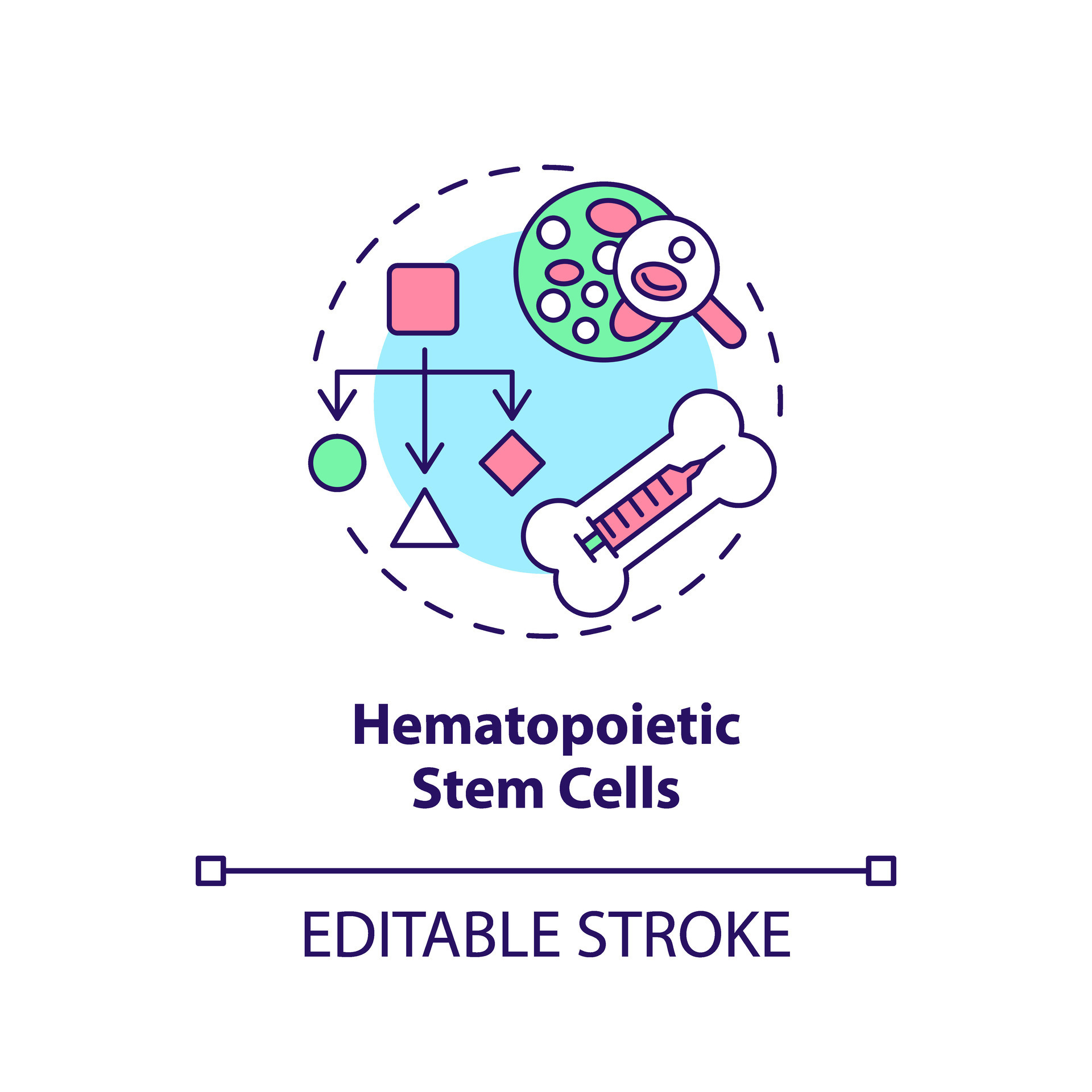2D editable multicolor hematopoietic stem cells icon, simple isolated ... 2D editable multicolor hematopoietic stem cells icon, simple isolated ...