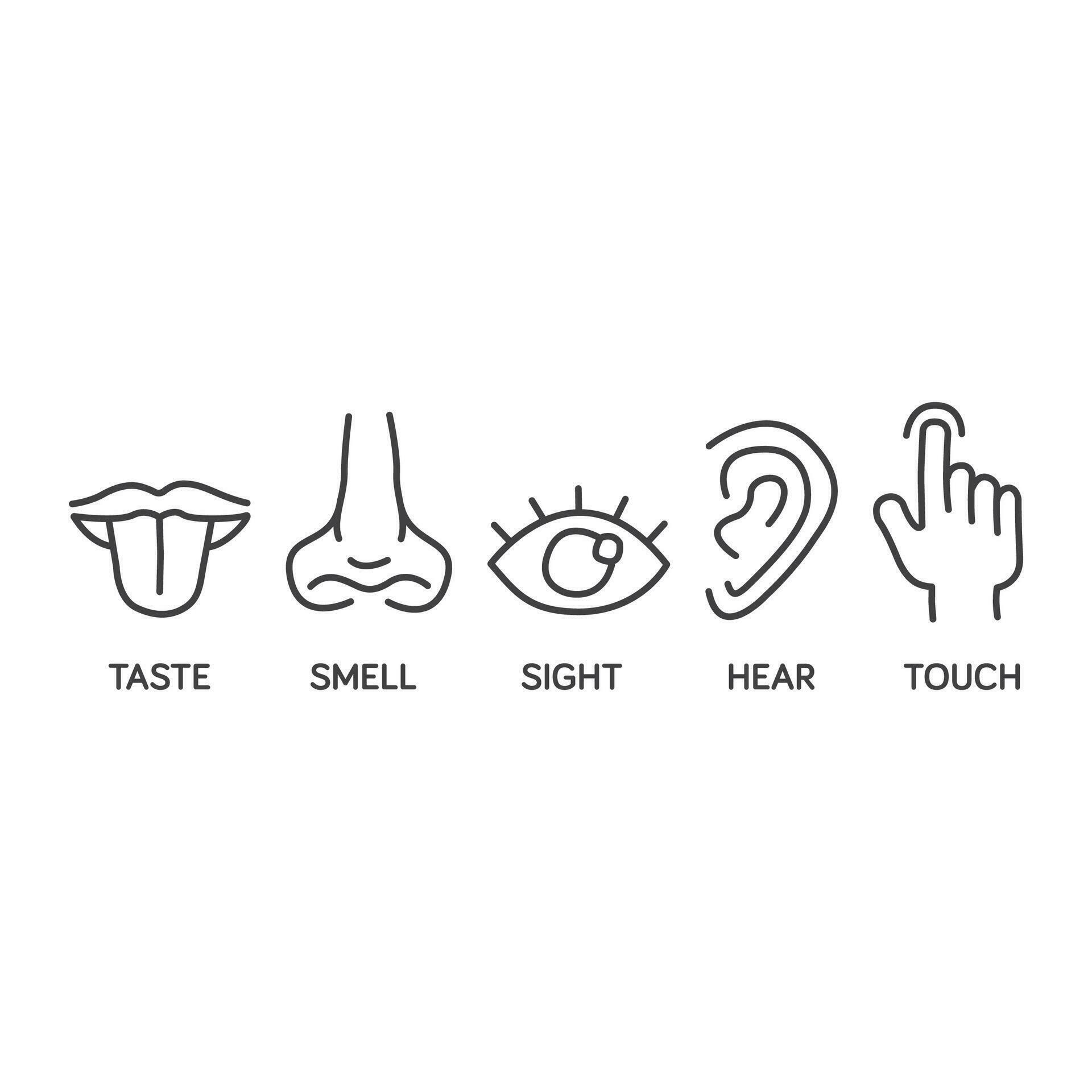 Five senses icon set hand drawn for educational illustrations. outline ...