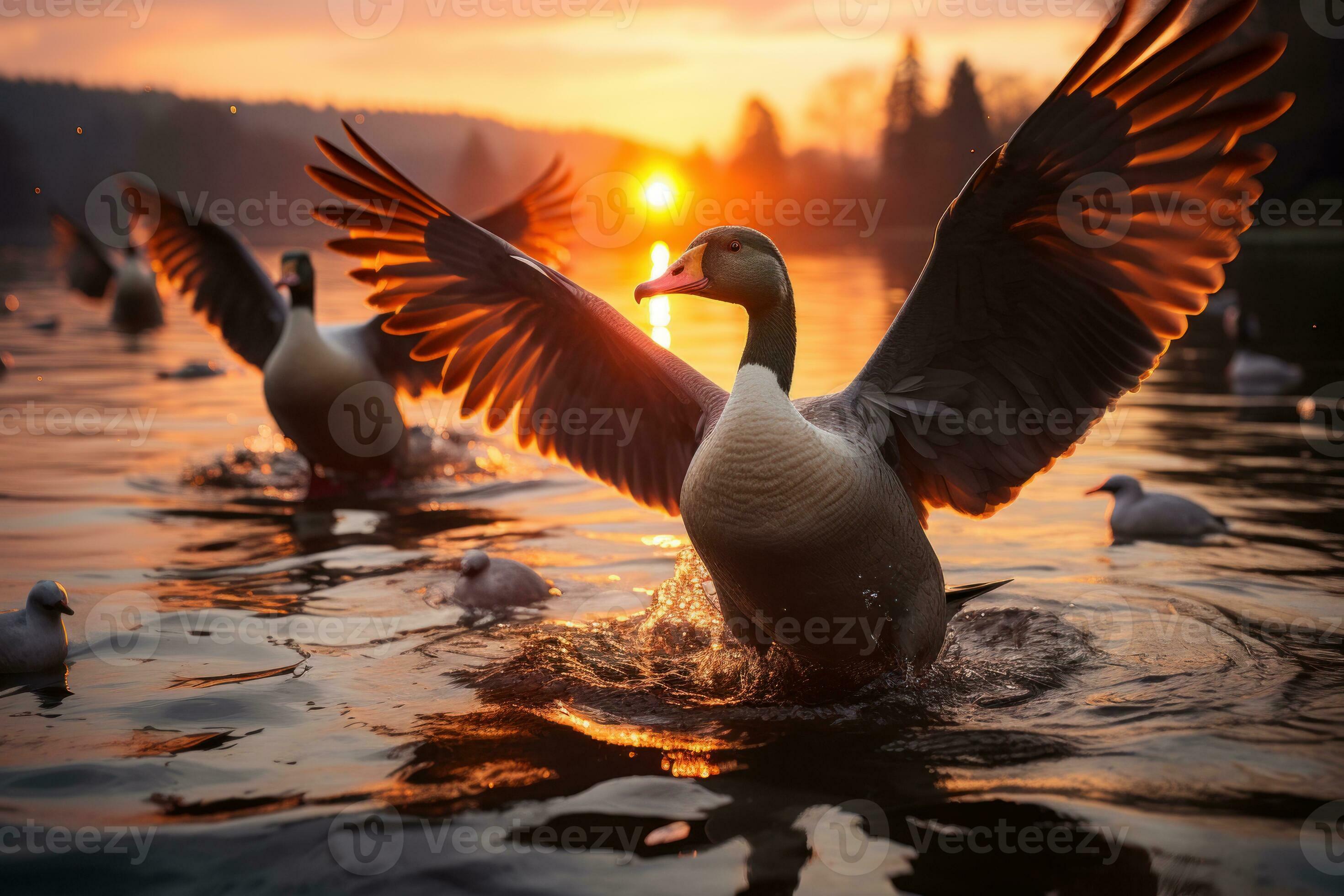 AI generated Flock of geese soaring across the lake, beautiful sunrise ...