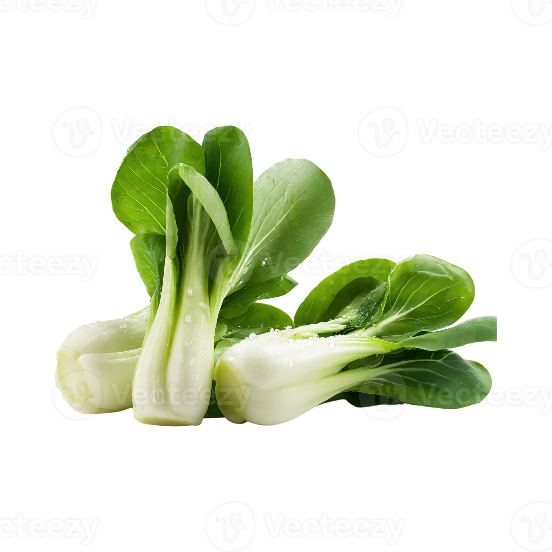 AI generated Green And White Bok Choy With Sliced Bok Choy, Isolated ... AI generated Green And White Bok Choy With Sliced Bok Choy, Isolated ...