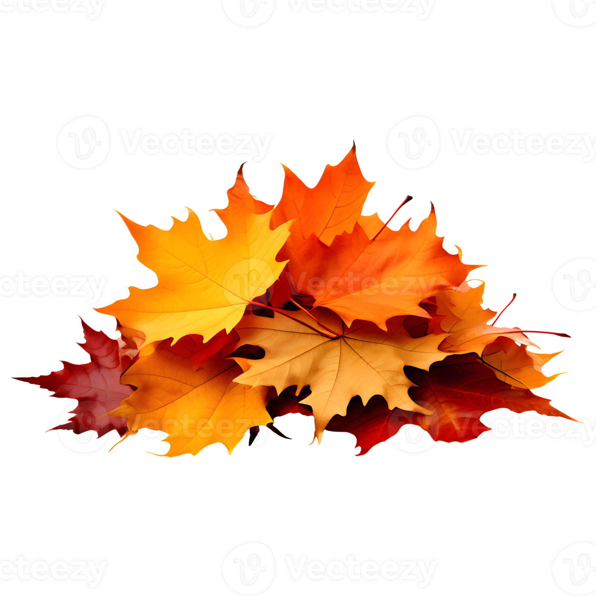 AI generated Autumn Leaves Pile Isolated on Transparent Background 36277082 PNG