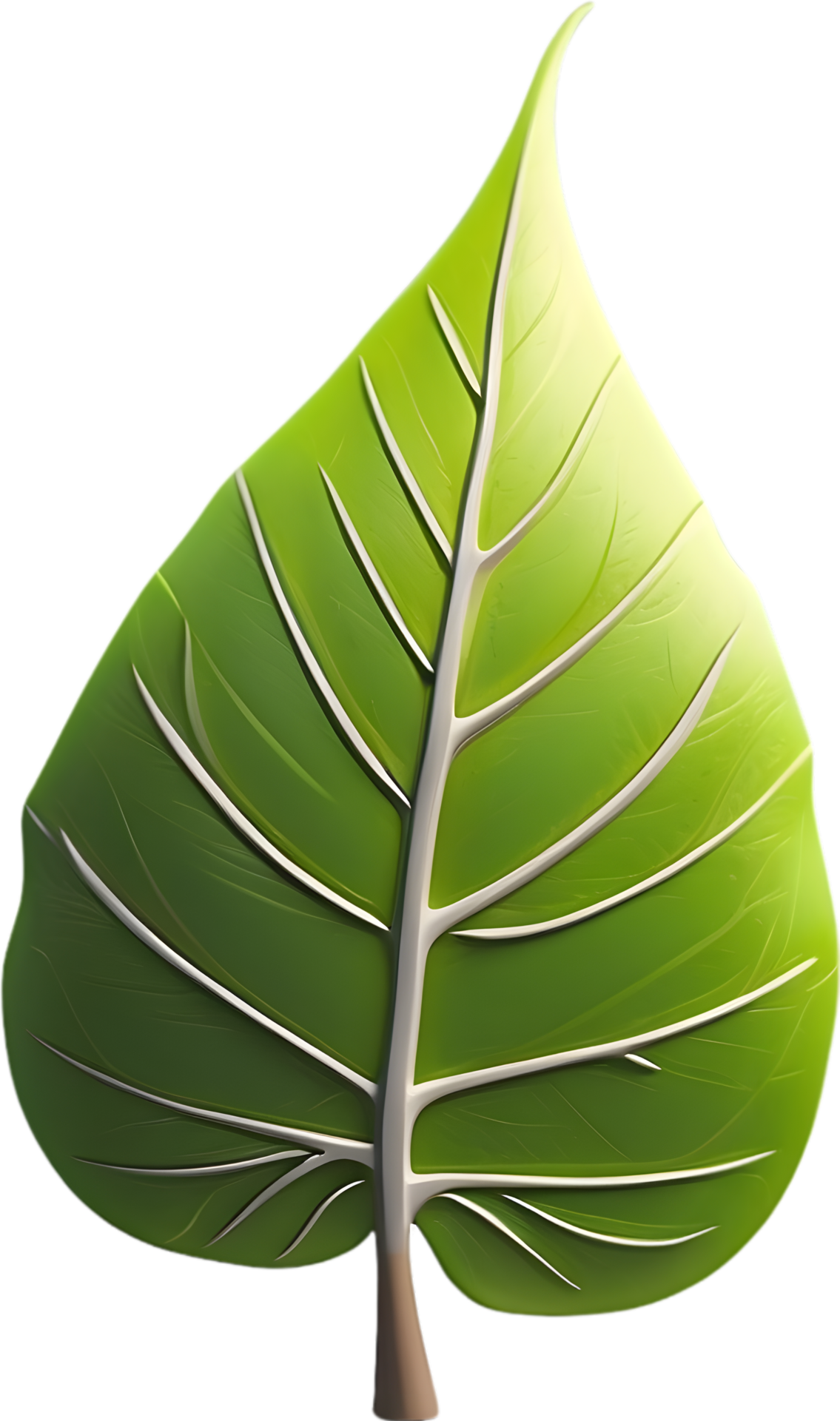 AI Generated Leaf Illustration Visuals Various Leaf Shapes Stock ai-generated-leaf-illustration-visuals-various-leaf-shapes-stock