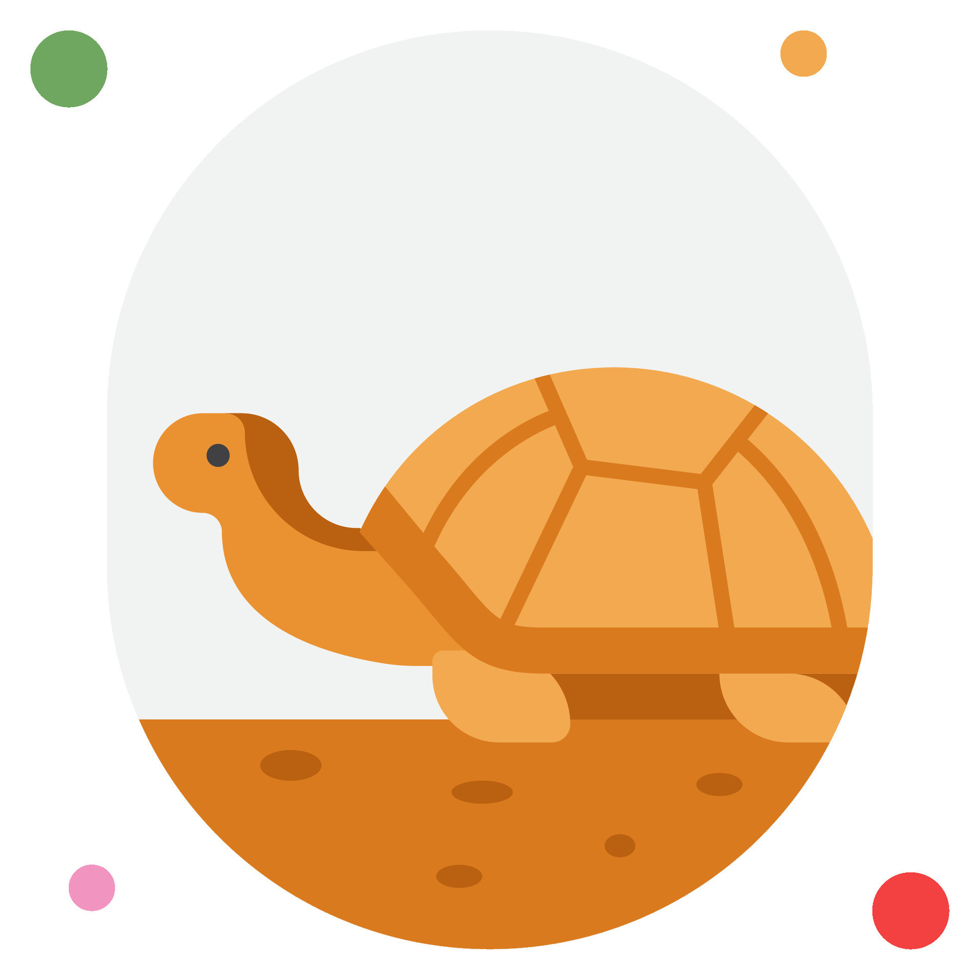 Turtle Icon Illustration, for web, app, infographic, etc 36303230 ...