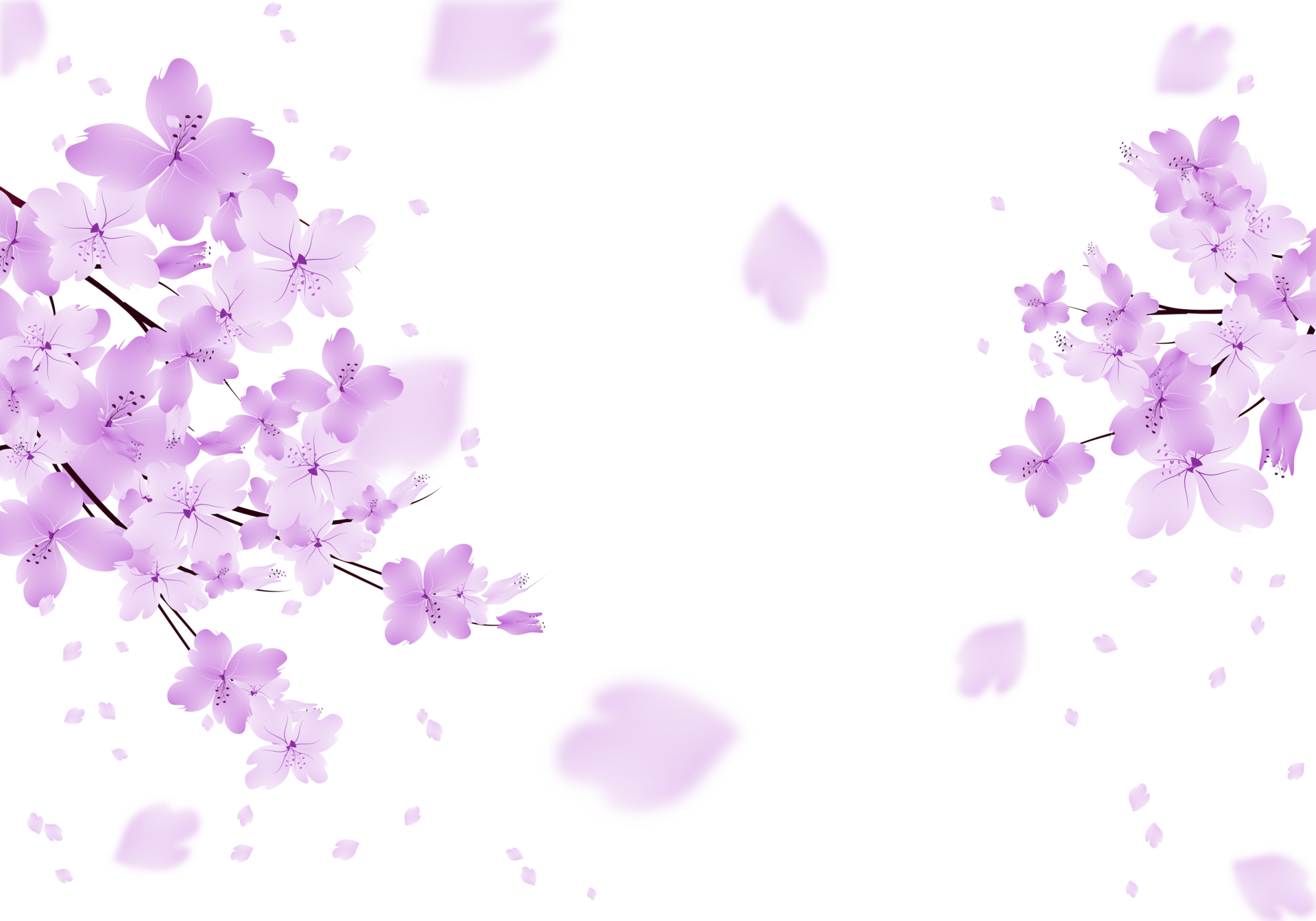 Purple Flowers Frame. Sakura bloom Background. Floral Branch Border ...