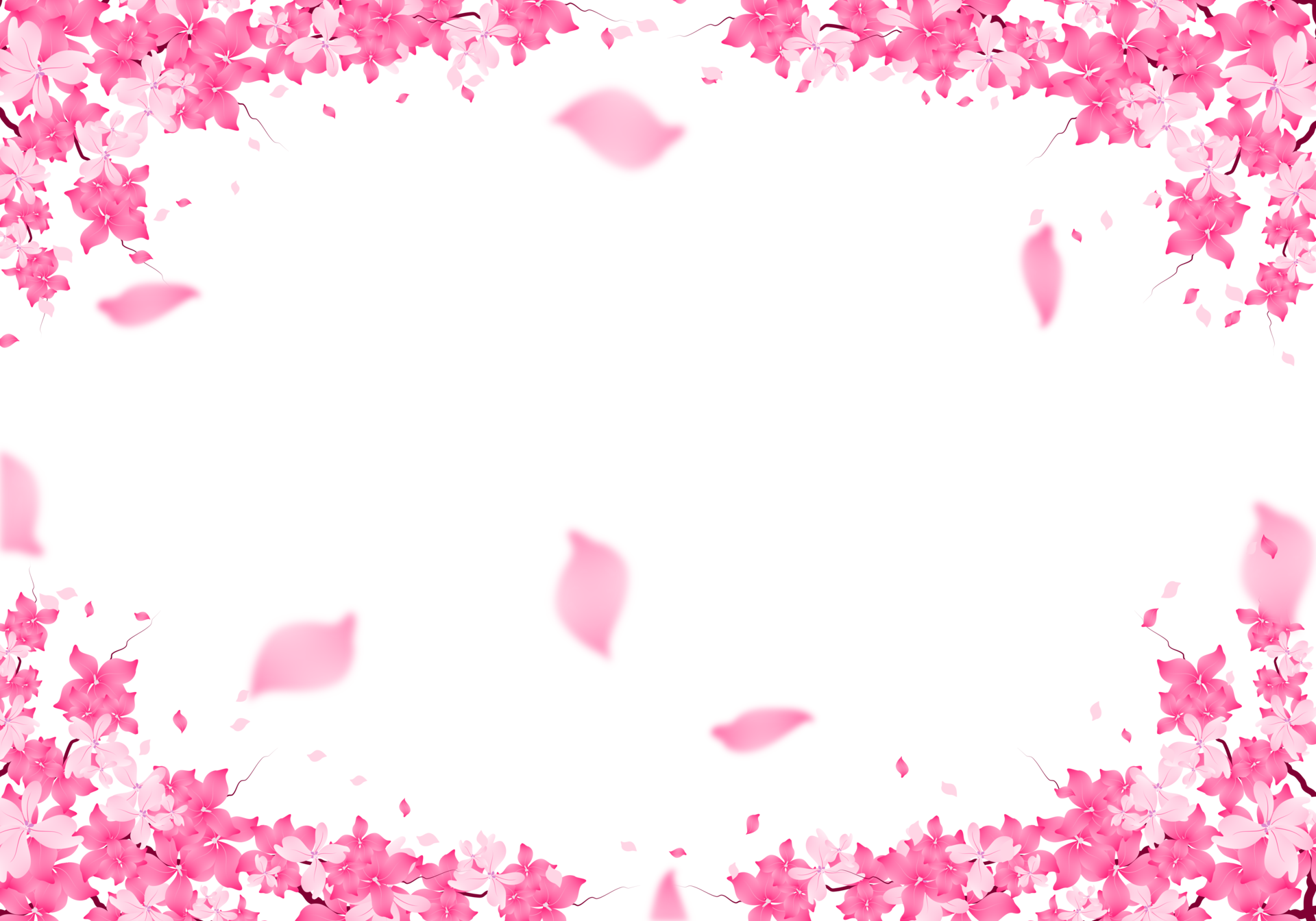 Sakura Frame Background. Cherry Blossom Border. 36309965 PNG Sakura Frame Background. Cherry Blossom Border. 36309965 PNG
