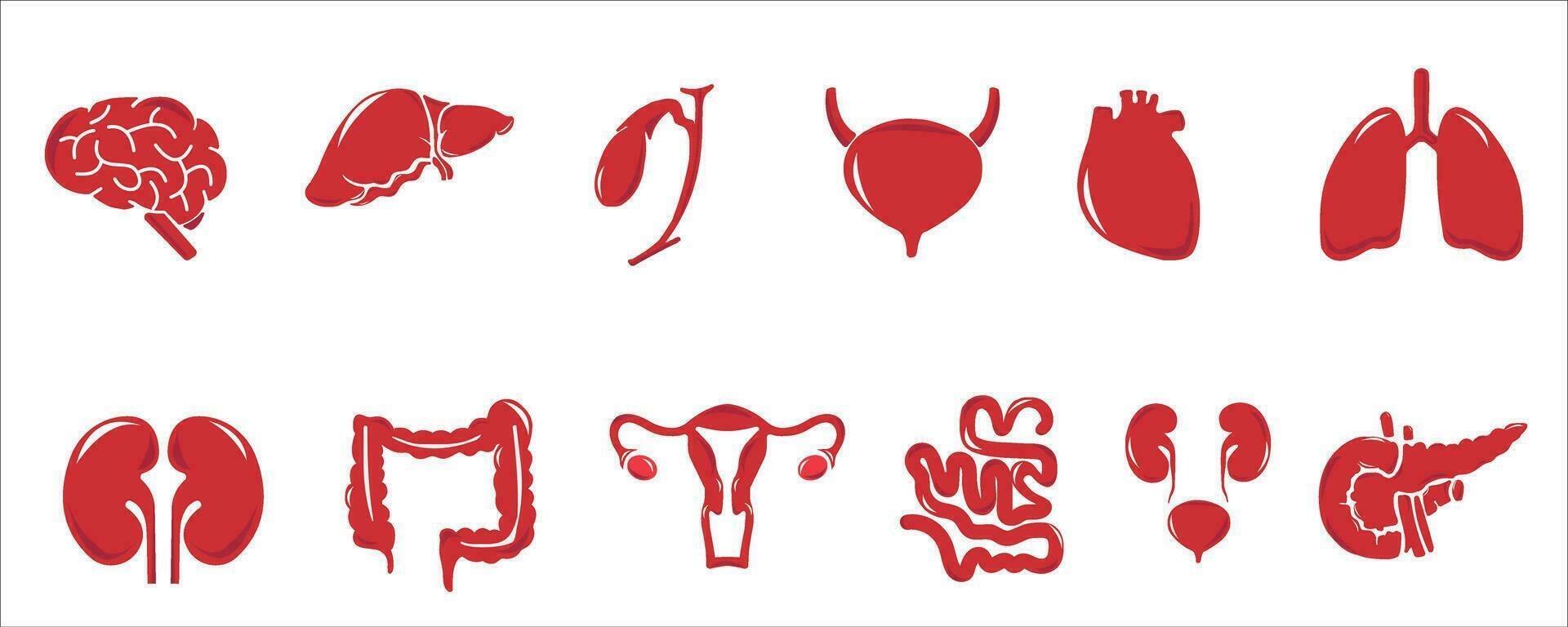 Human internal organs. Vector sketch isolated illustration. Hand drawn ... Human internal organs. Vector sketch isolated illustration. Hand drawn ...