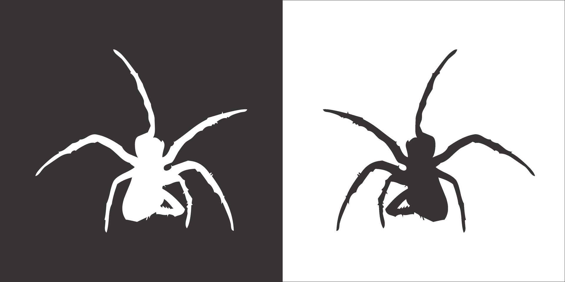Illustration vector graphics of spider icon 36312915 Vector Art at Vecteezy