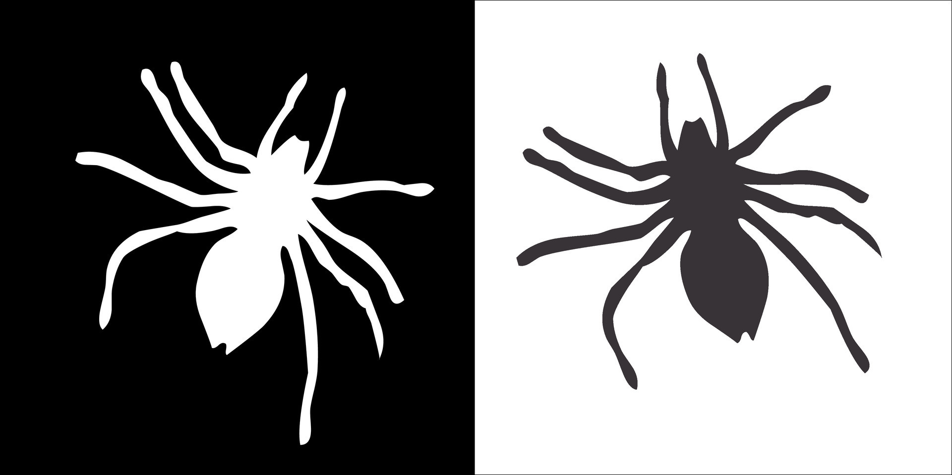 Illustration vector graphics of spider icon 36312924 Vector Art at Vecteezy