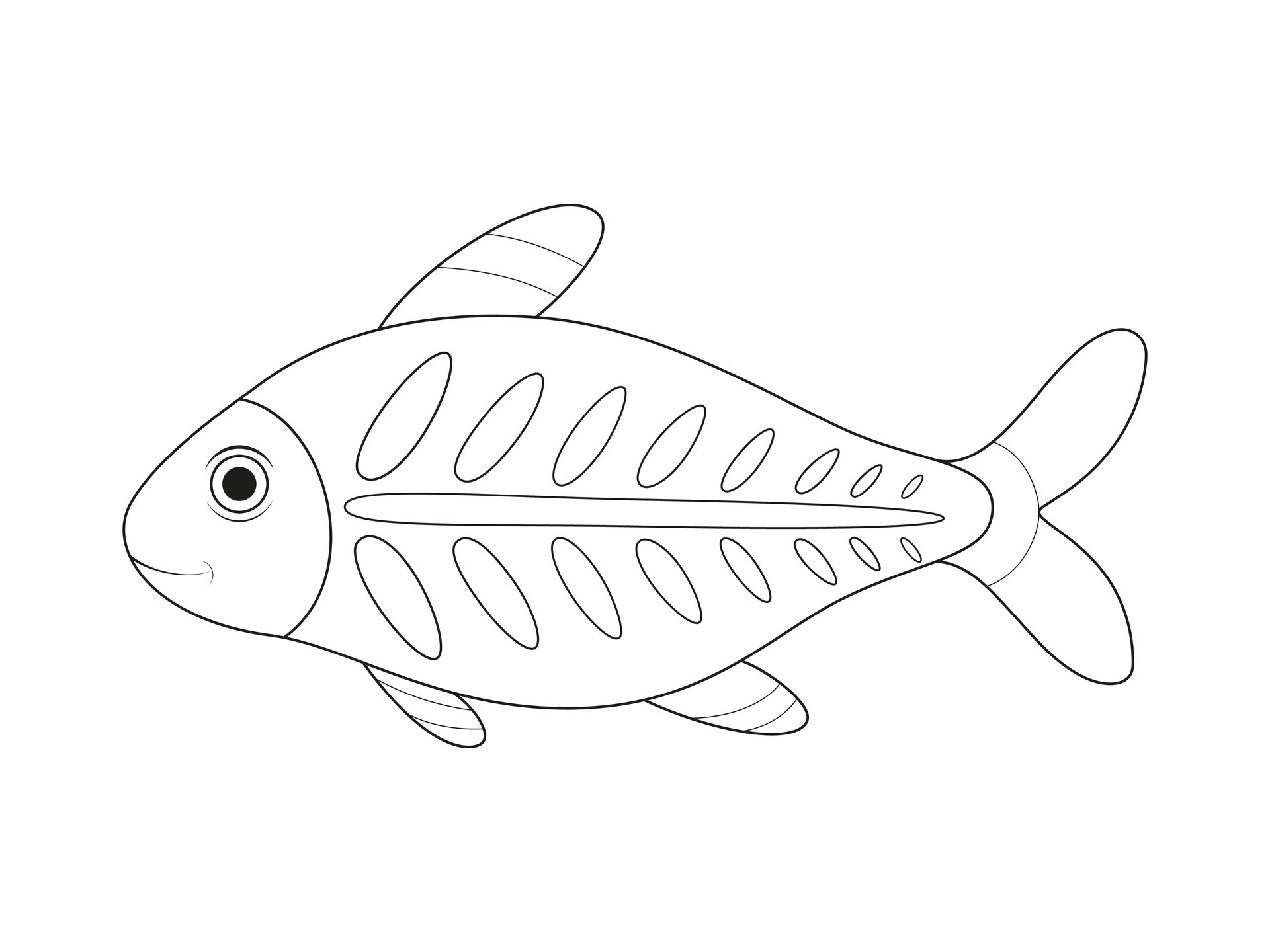 X-ray fish vector illustration. Sea animal coloring book or page for ...