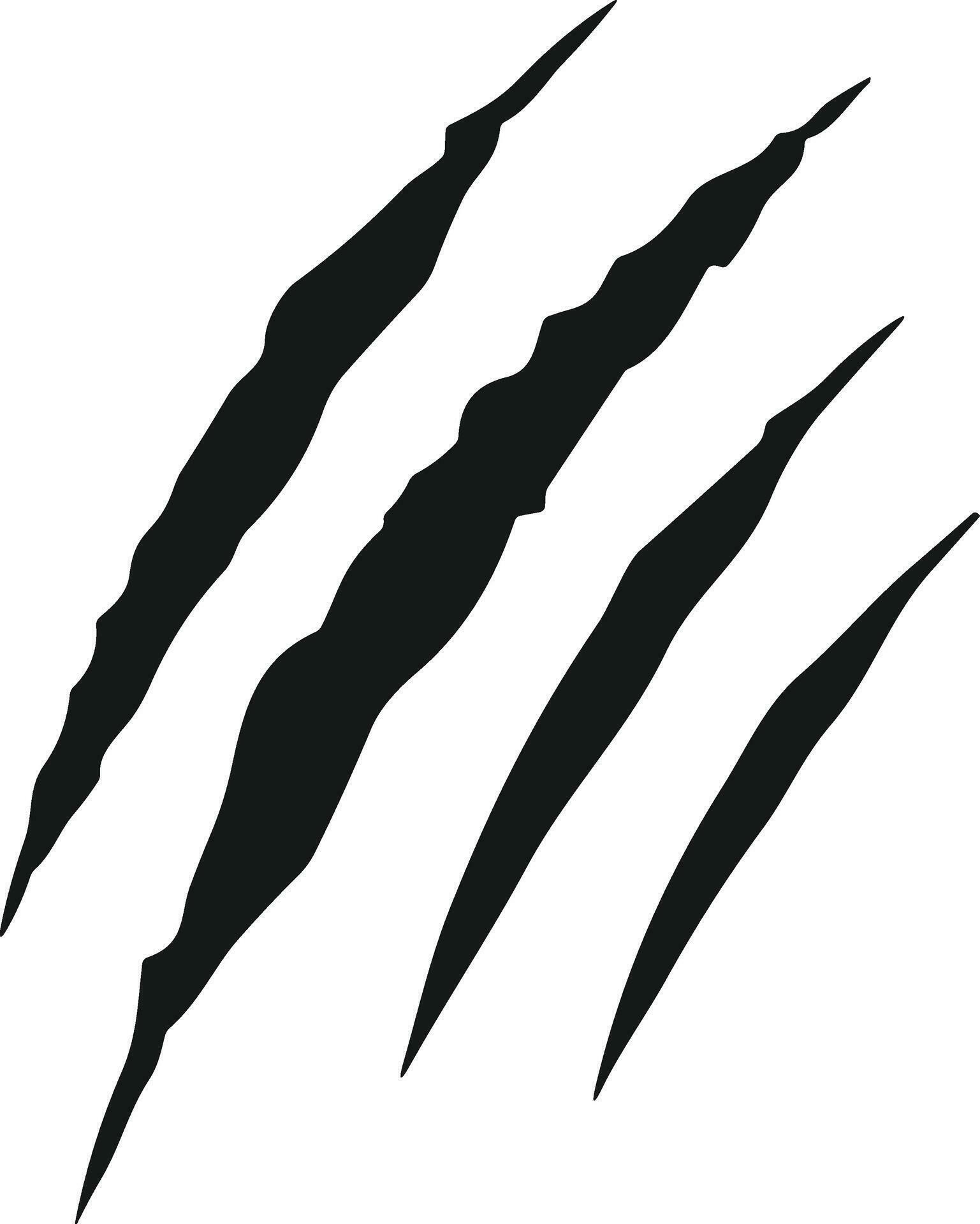 animal Claw scratch mark. Cat tiger dog lion and bear scratches paw ...