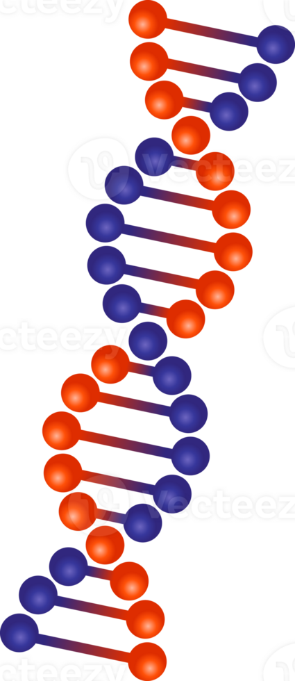 Dna Strands Icon 36331395 Png