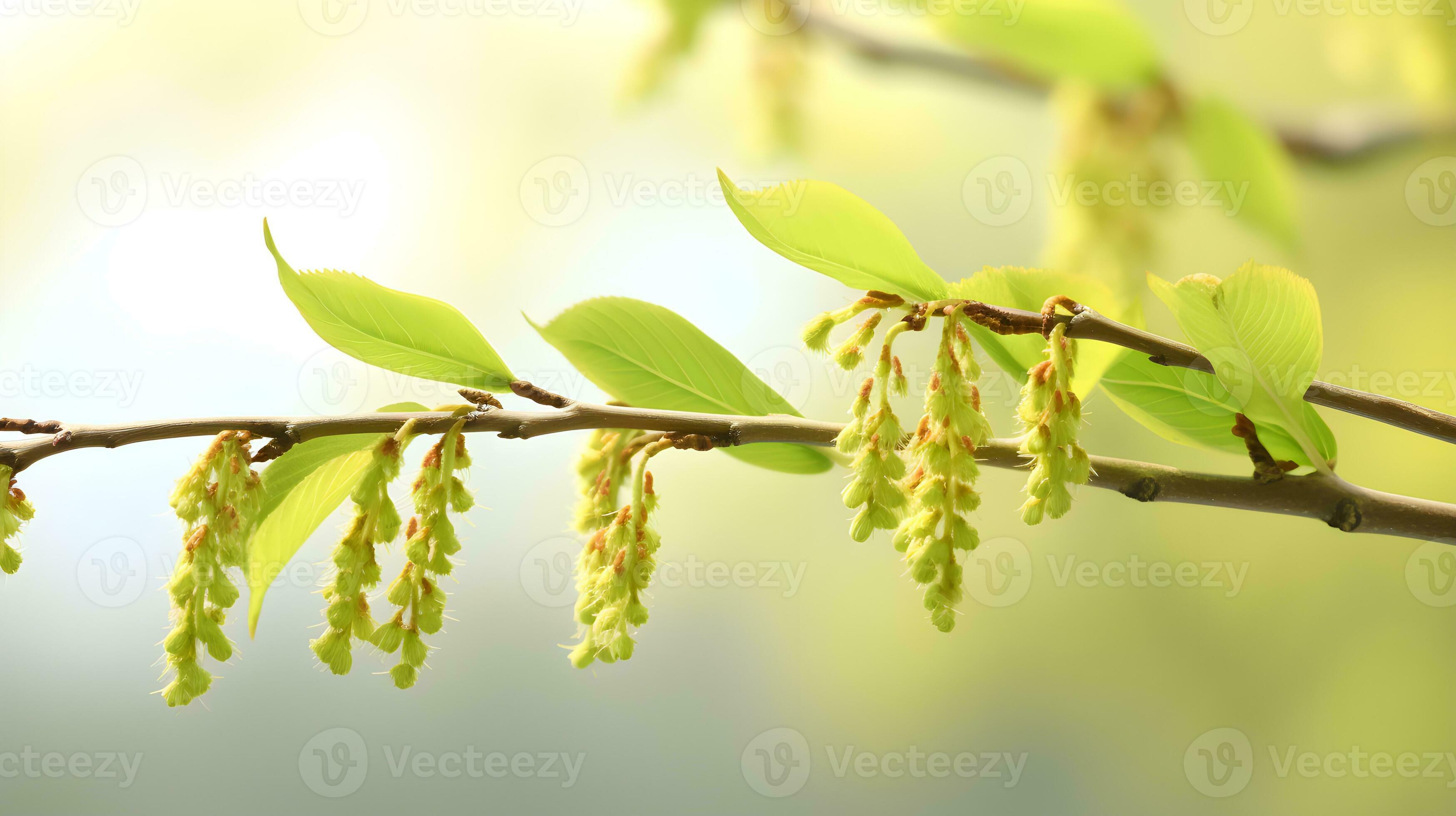 AI generated Spring tree buds. Spring wallpaper. 36366162 Stock Photo ...