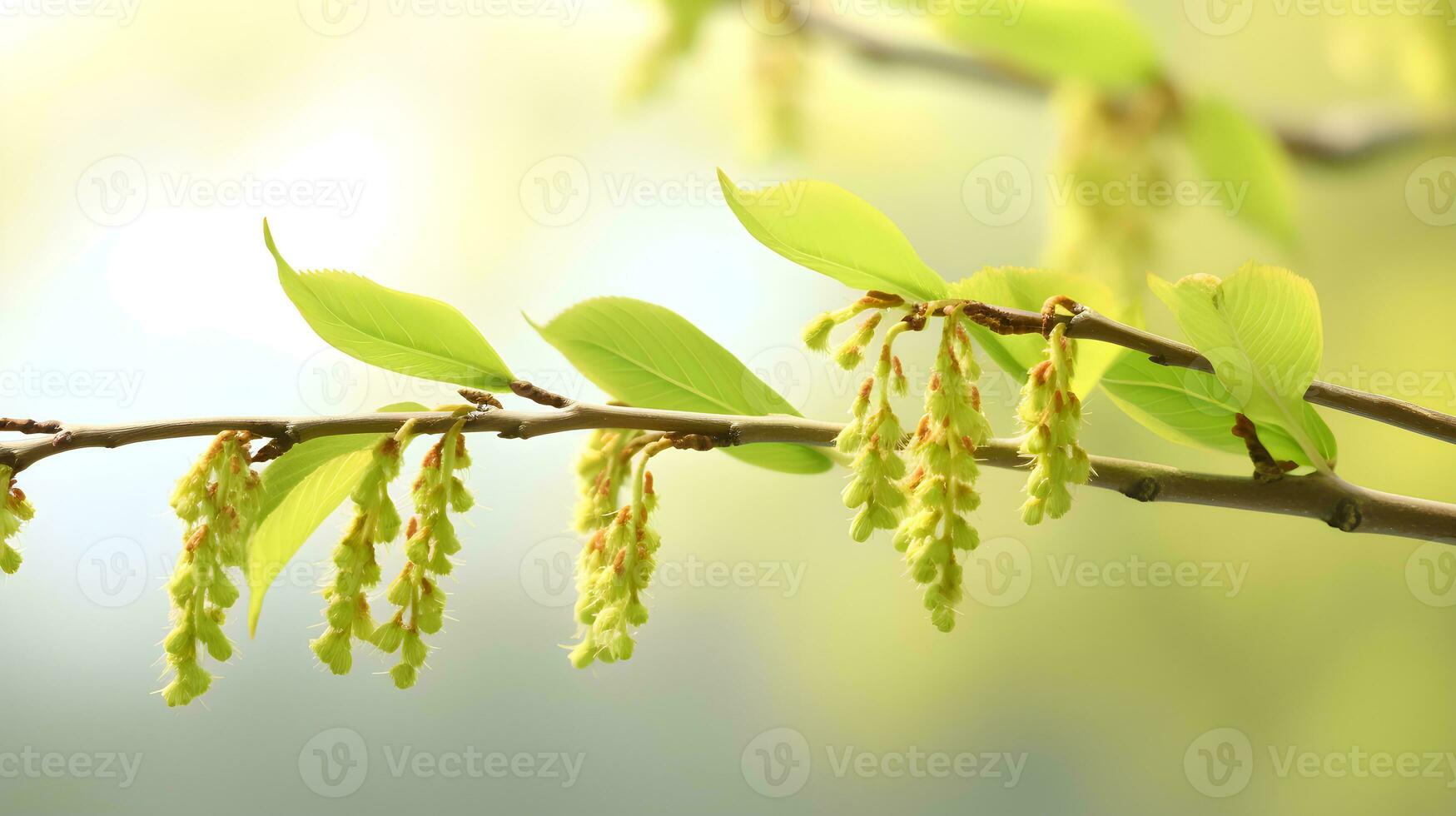 AI generated Spring tree buds. Spring wallpaper. 36366162 Stock Photo ...